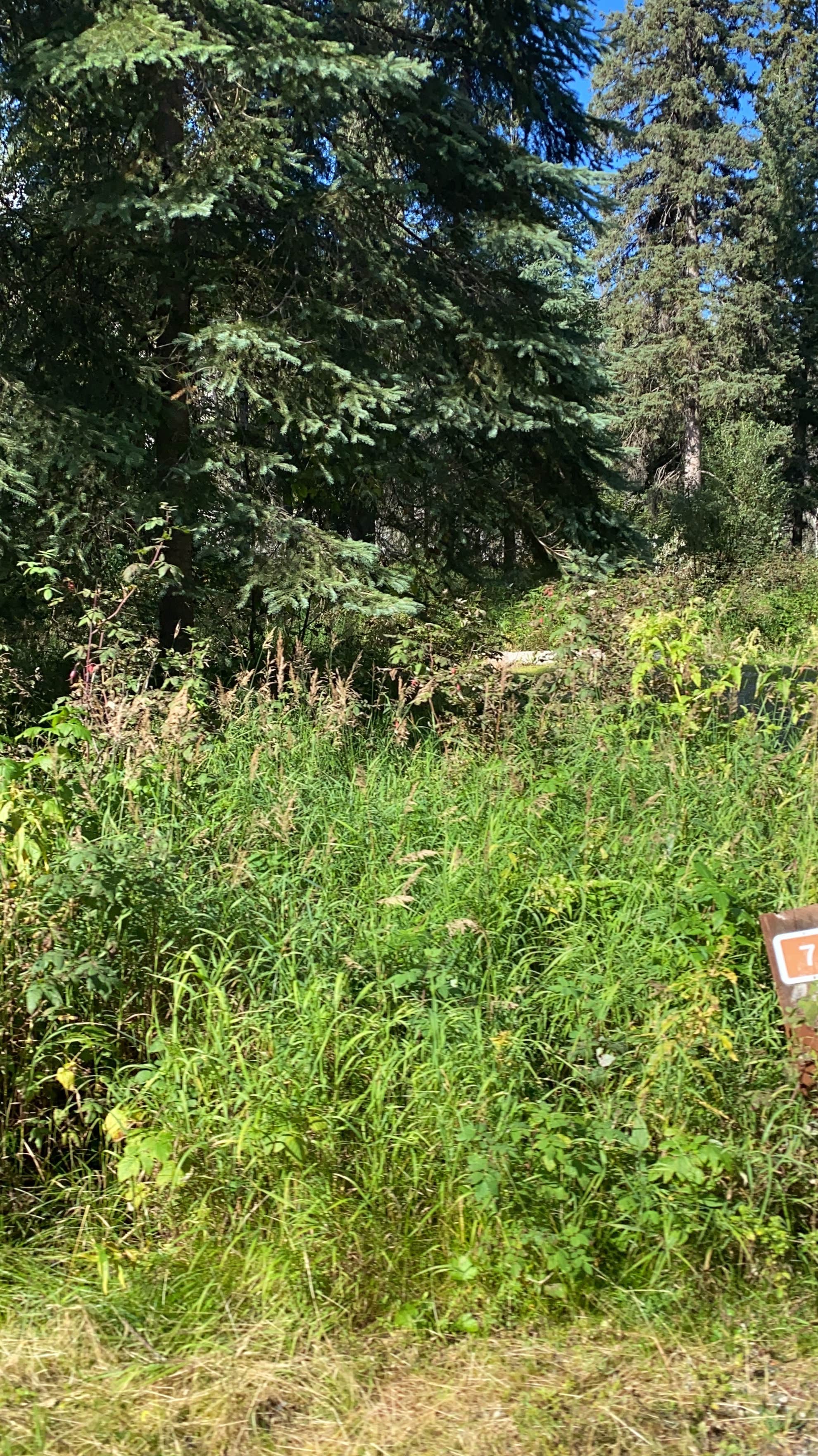 Red Squirrel Campground | Fairbanks, AK