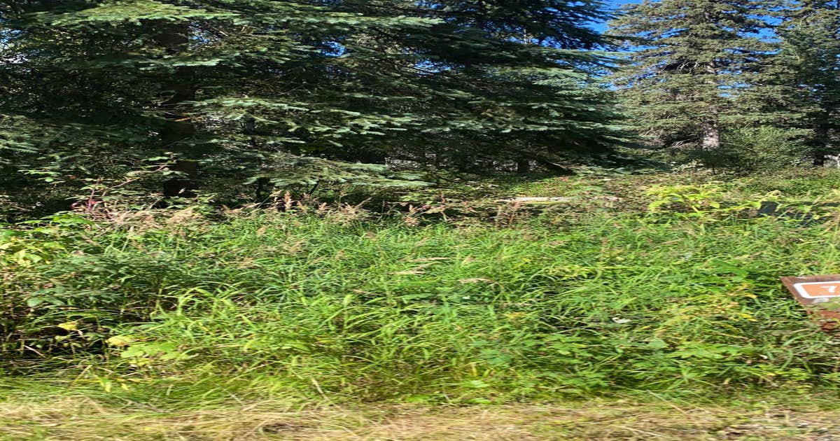 Red Squirrel Campground | Fairbanks, AK