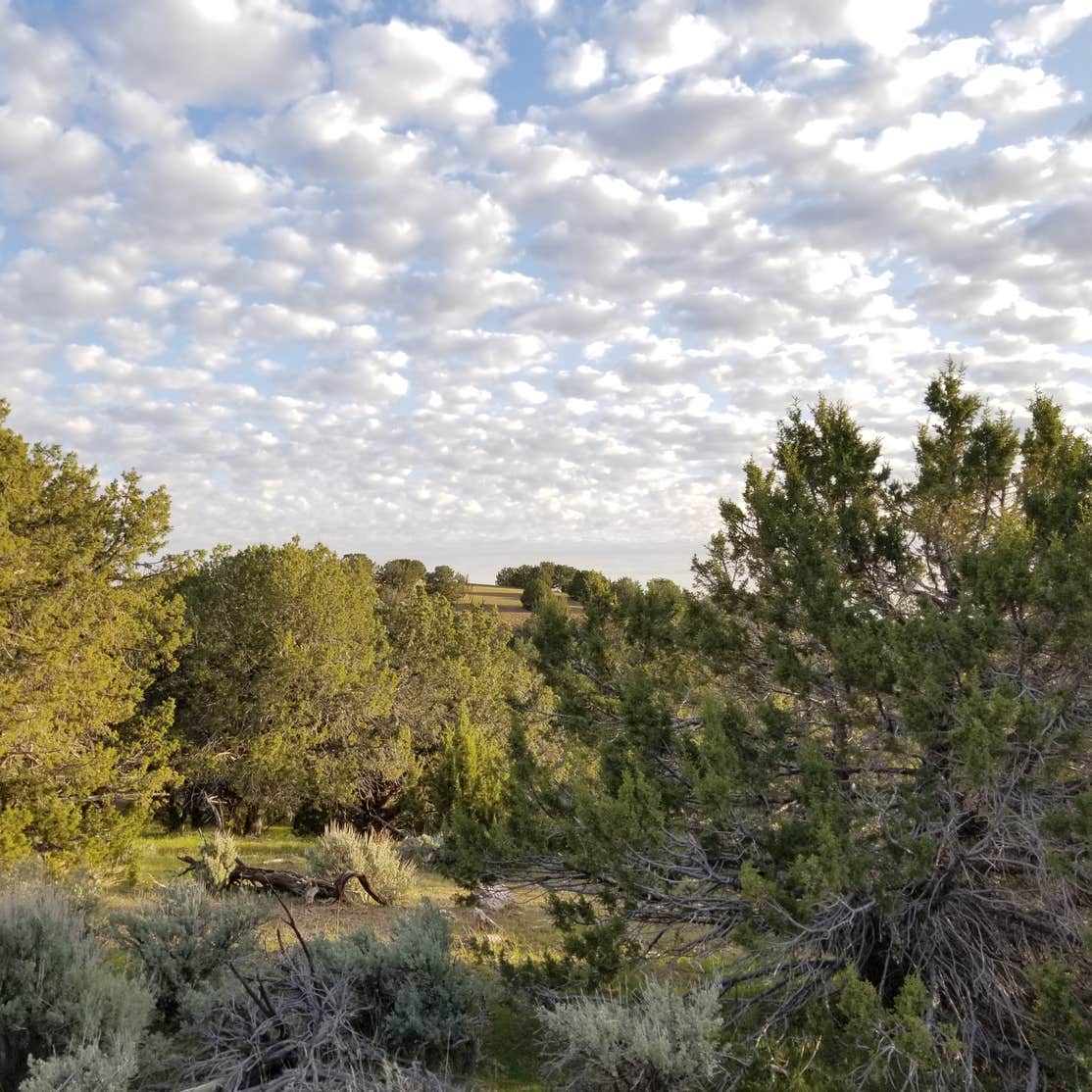Three Creeks Reservoir Camping | Junction, Utah