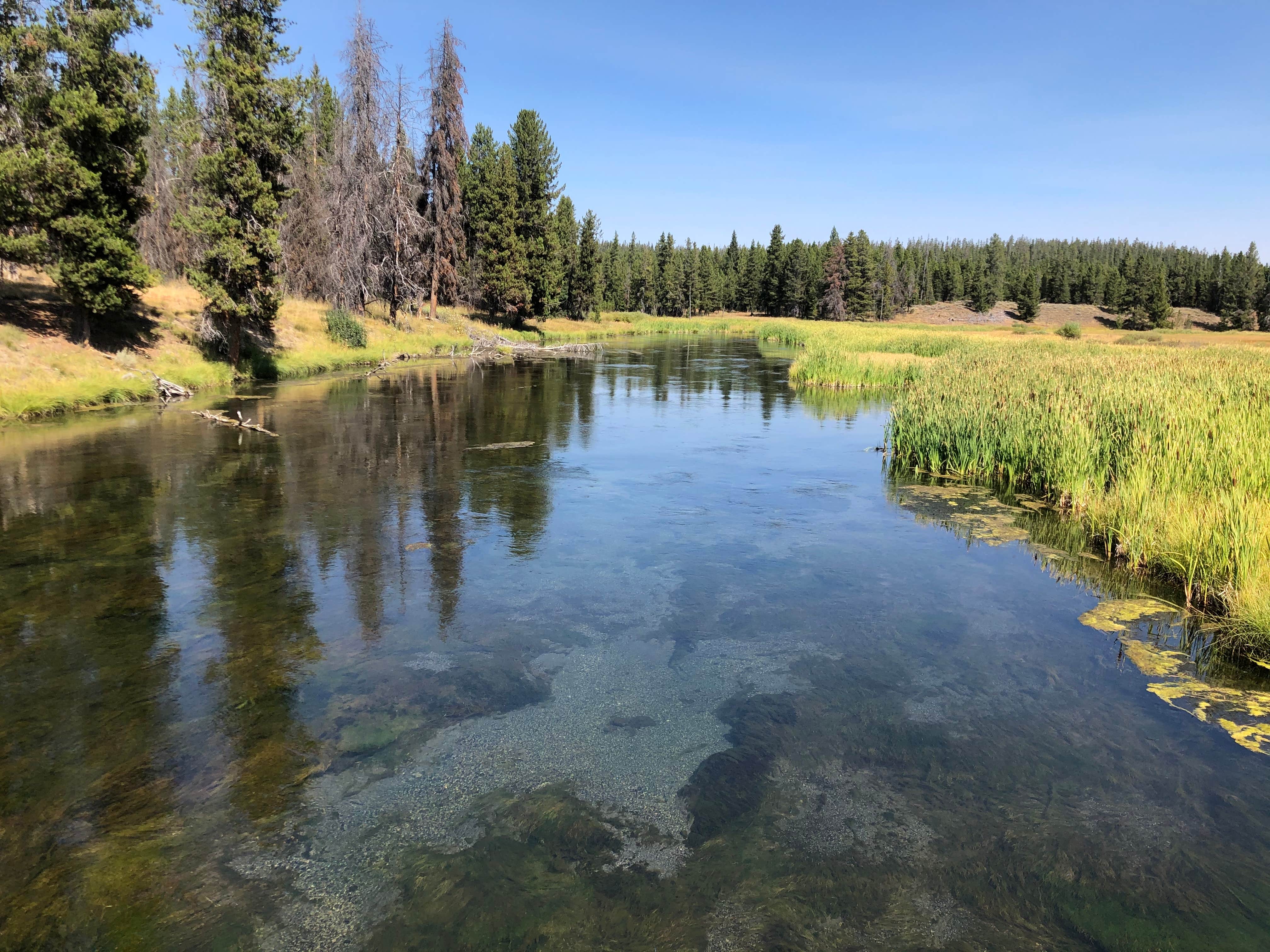Ashton-Flagg Ranch Rd Dispersed Camping | The Dyrt