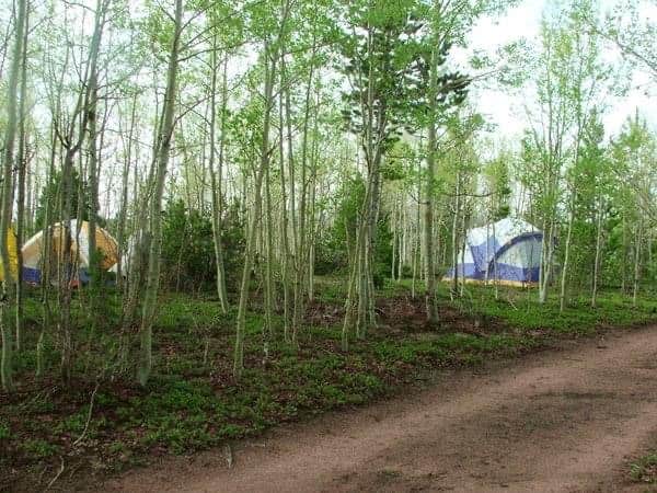 Rampart Range Recreation Area | The Dyrt