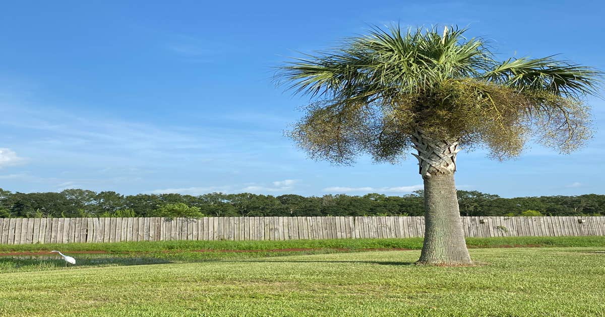 Unhitched Foley Camping | Foley, Alabama