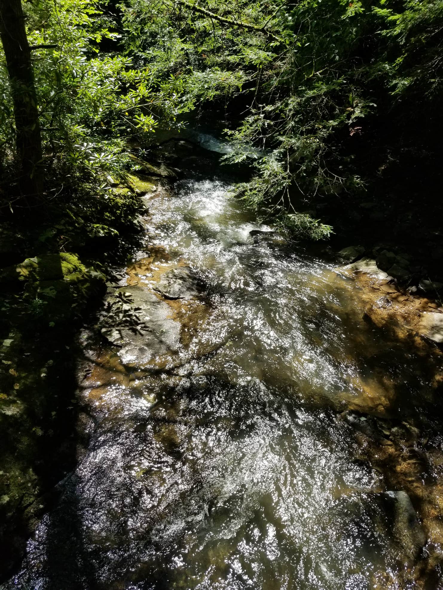 Cranberry Campground | The Dyrt