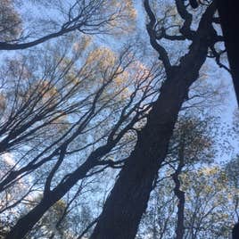 Ledge County Park Camping | The Dyrt