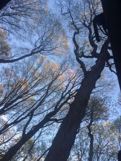 Ledge County Park Camping | Horicon, Wisconsin