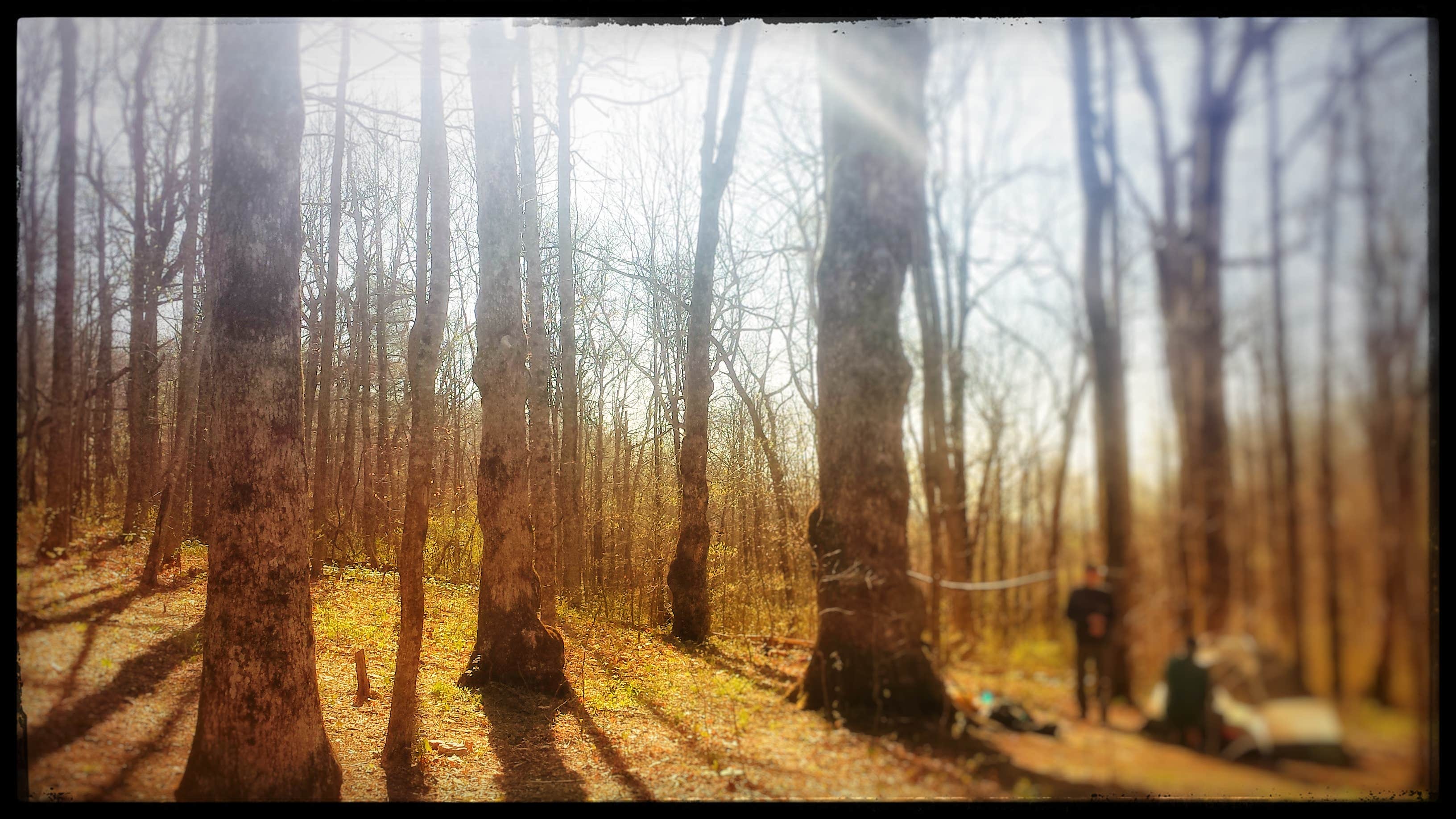 Low Gap Camping | Helen, GA