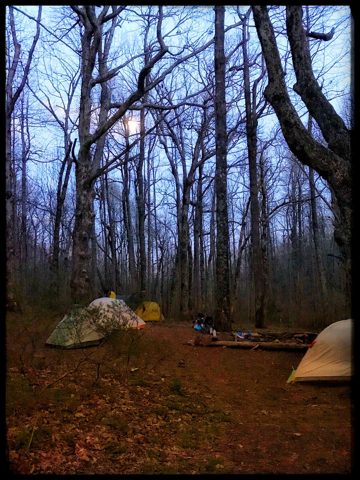 Low Gap Camping | Helen, Georgia