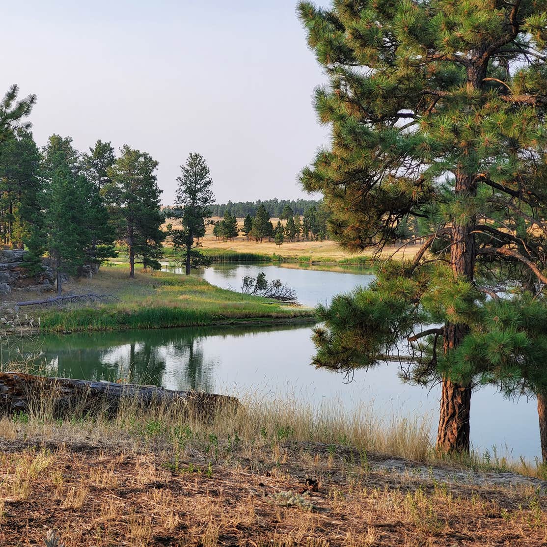 Homestead Campground — Keyhole State Park | Pine Haven, WY