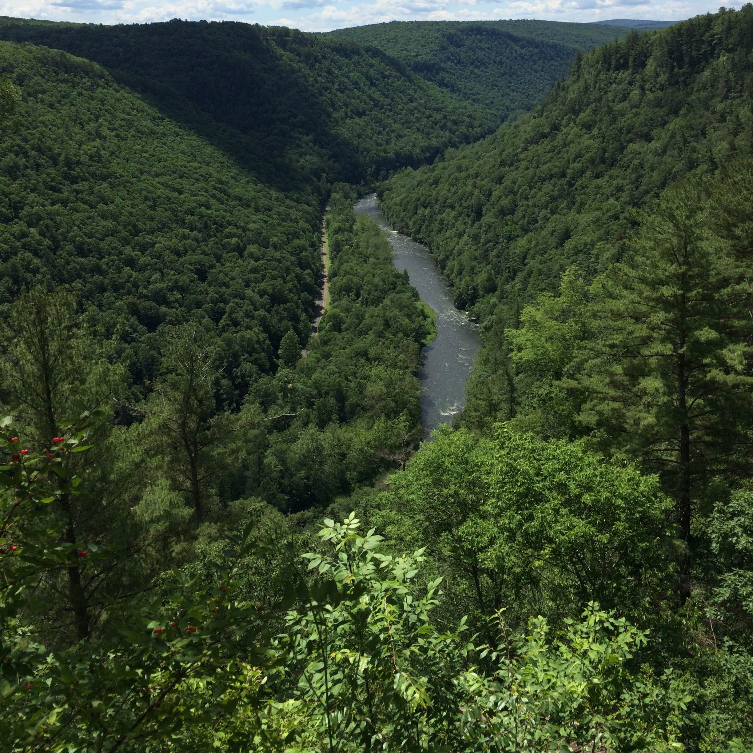 Colton Point State Park Campground | Gaines, Pennsylvania