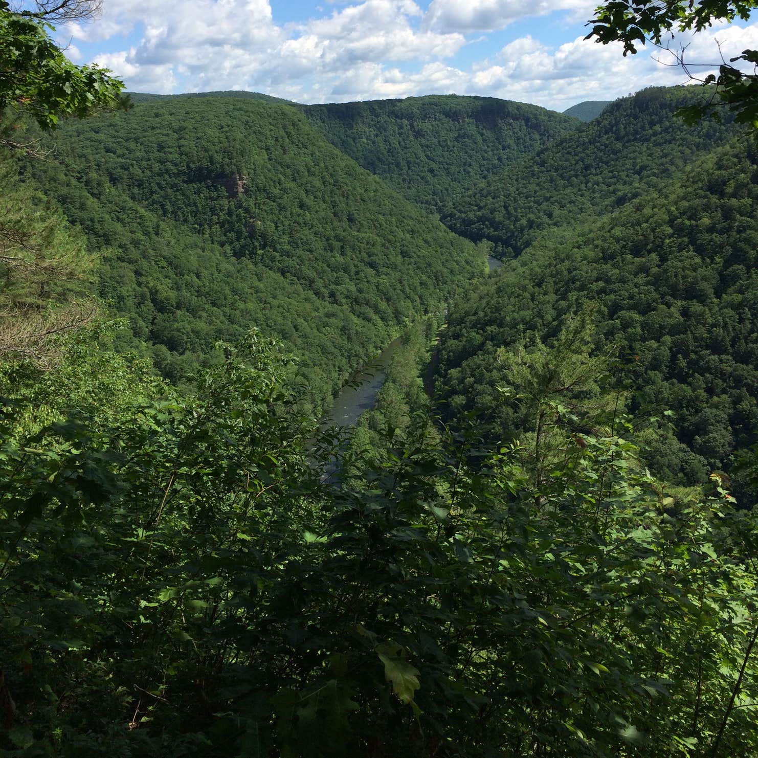 Colton Point State Park Campground | Gaines, Pennsylvania