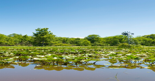 Boulder Ridge Farm Camping | Sellersville, PA