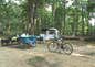 Cheesequake State Park Camping | The Dyrt