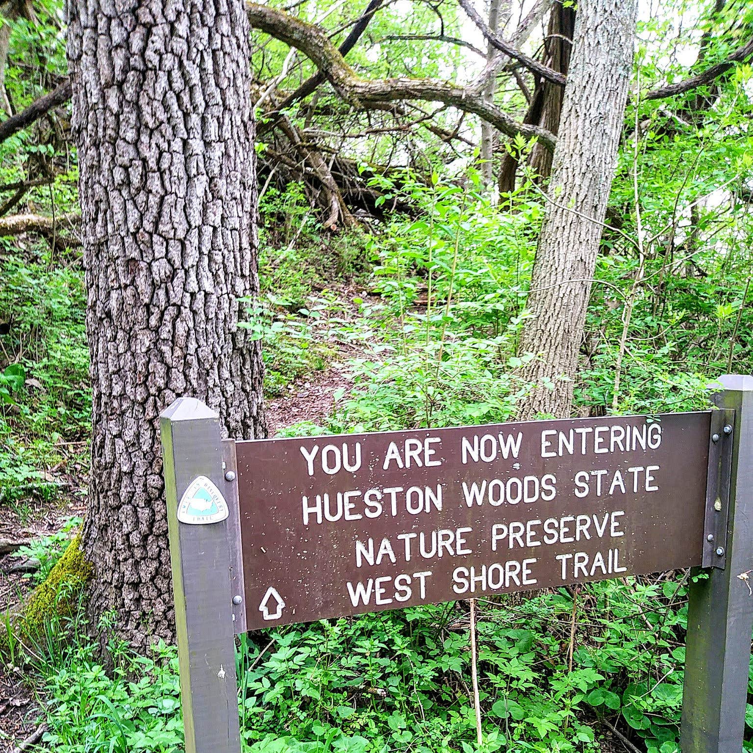 Hueston Woods State Park Camping | The Dyrt