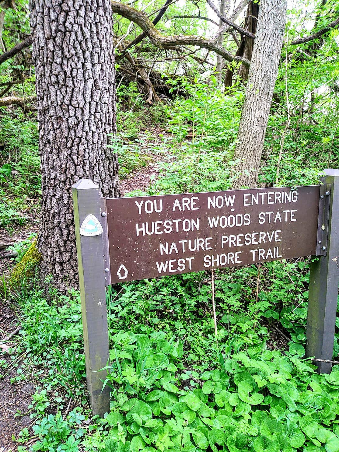 Hueston Woods State Park Camping | The Dyrt