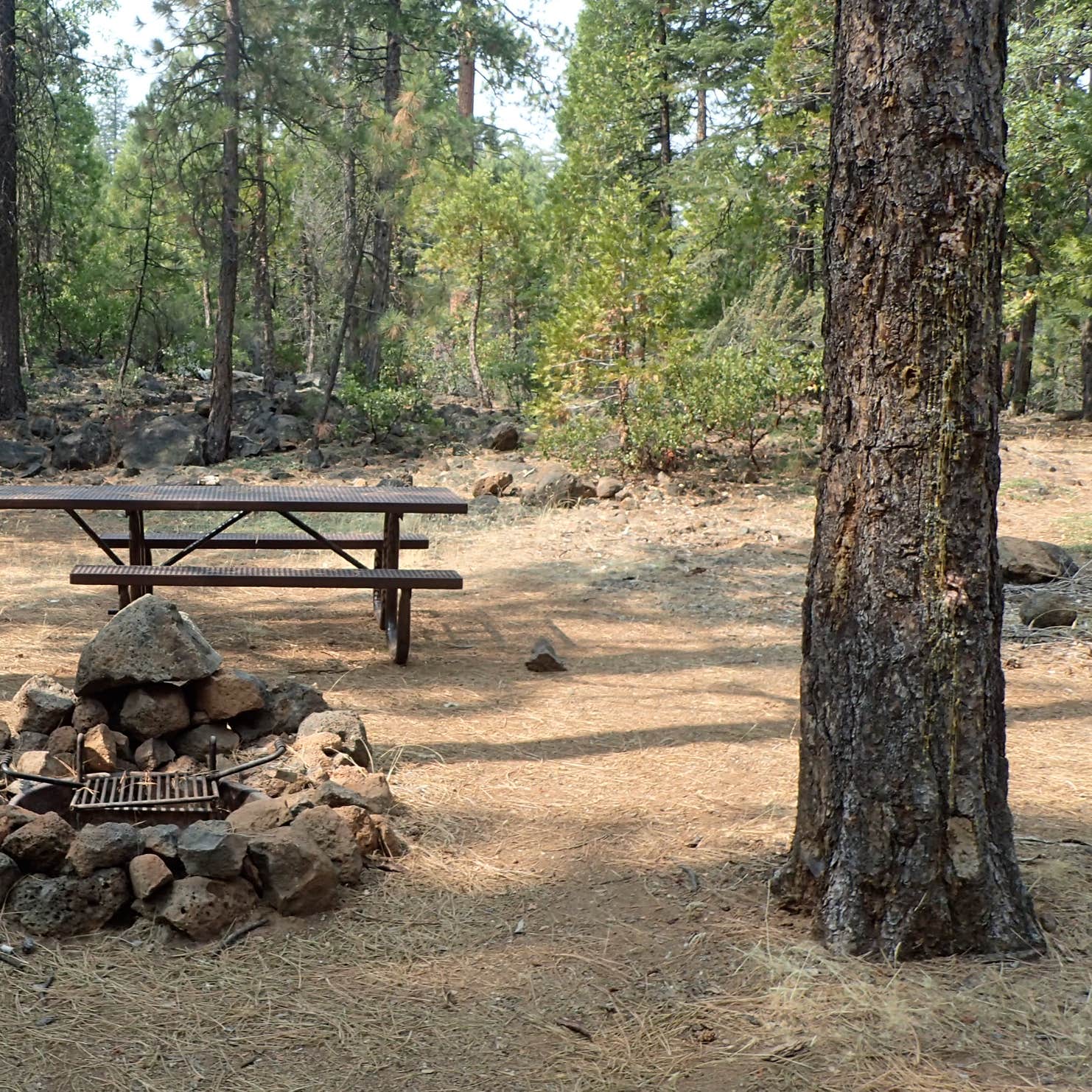 Bridge Campground | Old Station, California