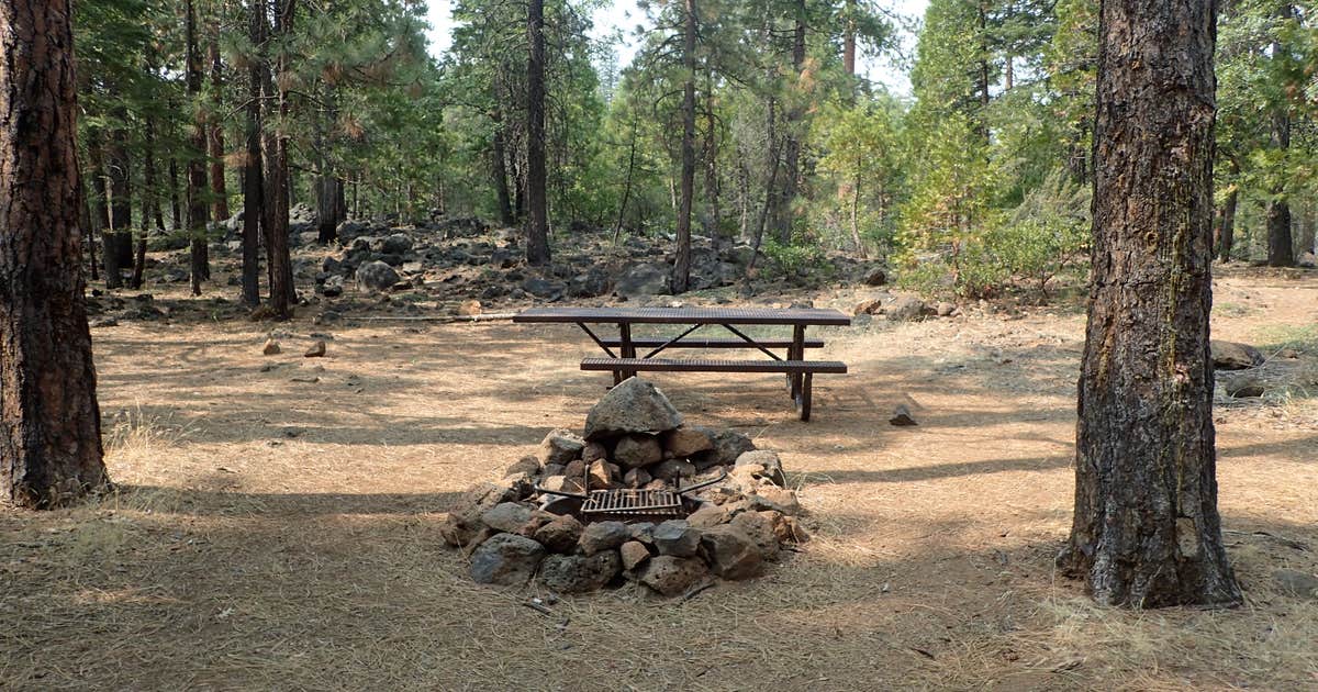 Bridge Campground | Old Station, California