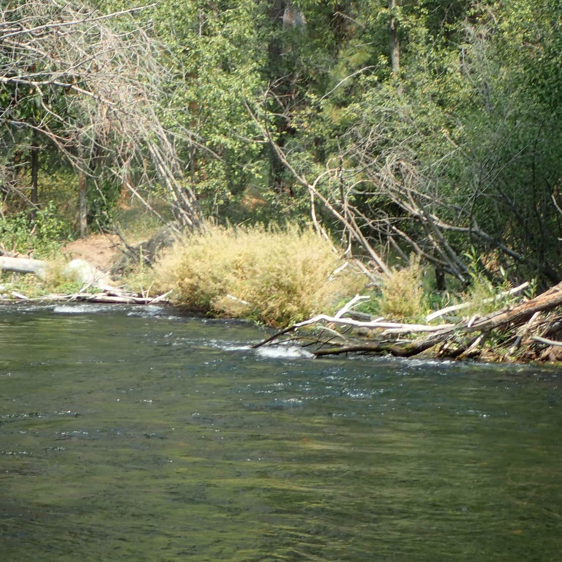 Cave Campground | Old Station, California