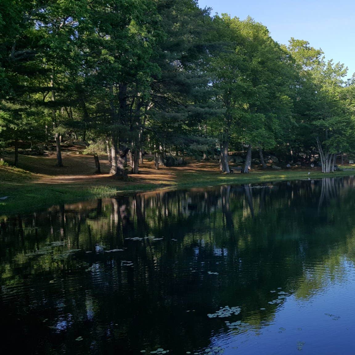 Countryside RV Park Camping | The Dyrt