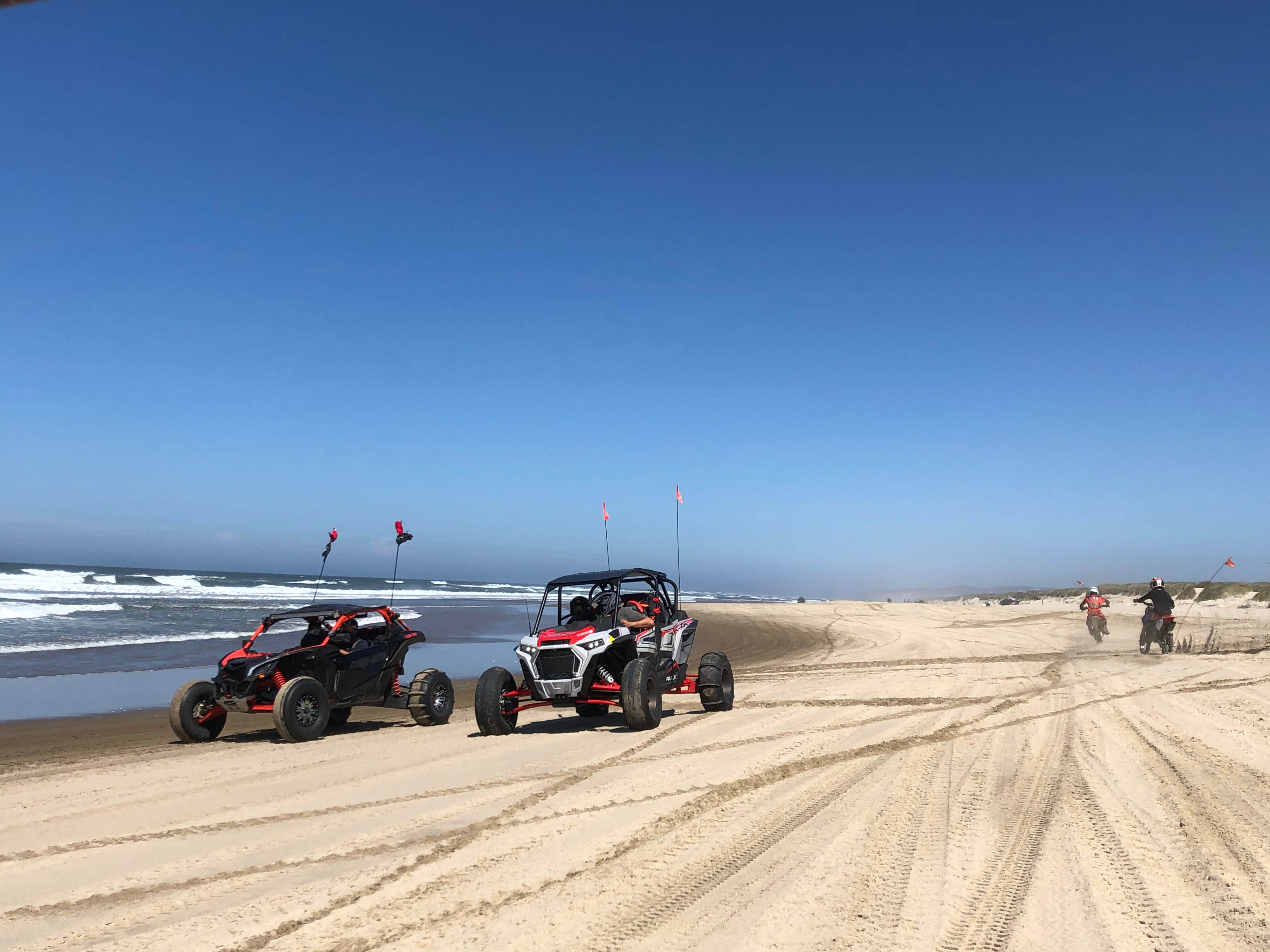 Riley Ranch Camping | Siuslaw National Forest, Oregon