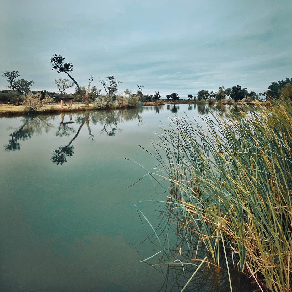 Isleta Lakes & RV Park | Bosque Farms, New Mexico