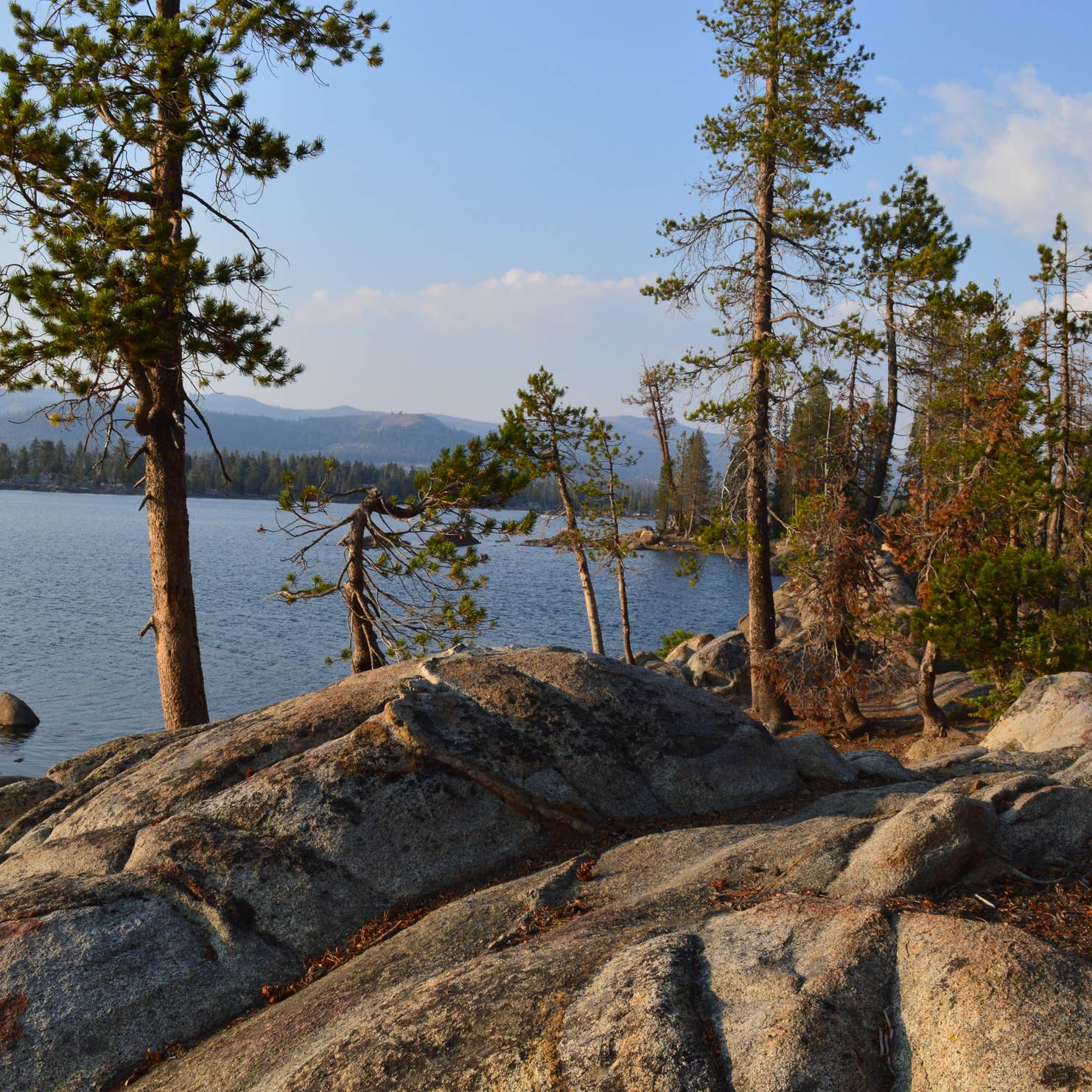 Utica/Union Reservoirs Camping | Bear Valley, California