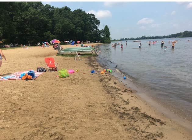 Portage Lake - Waterloo State Rec Area | The Dyrt