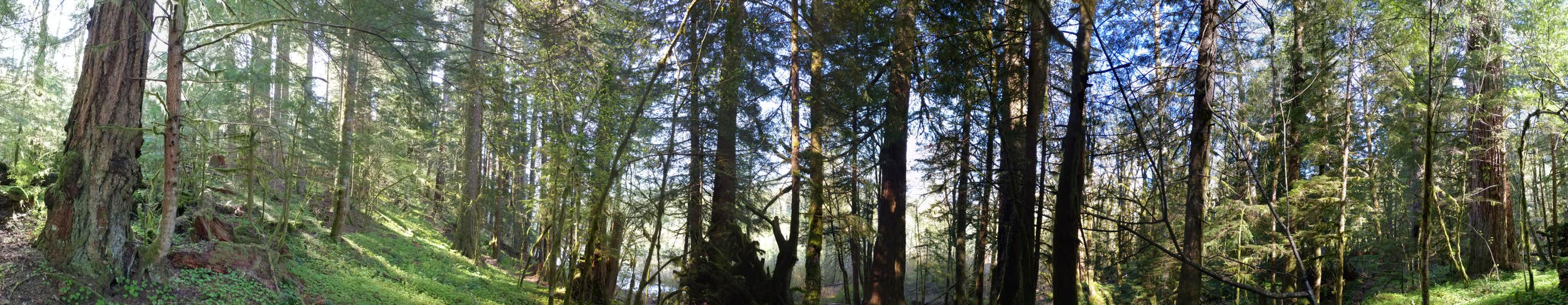 Merrill Lake Campground Camping | The Dyrt