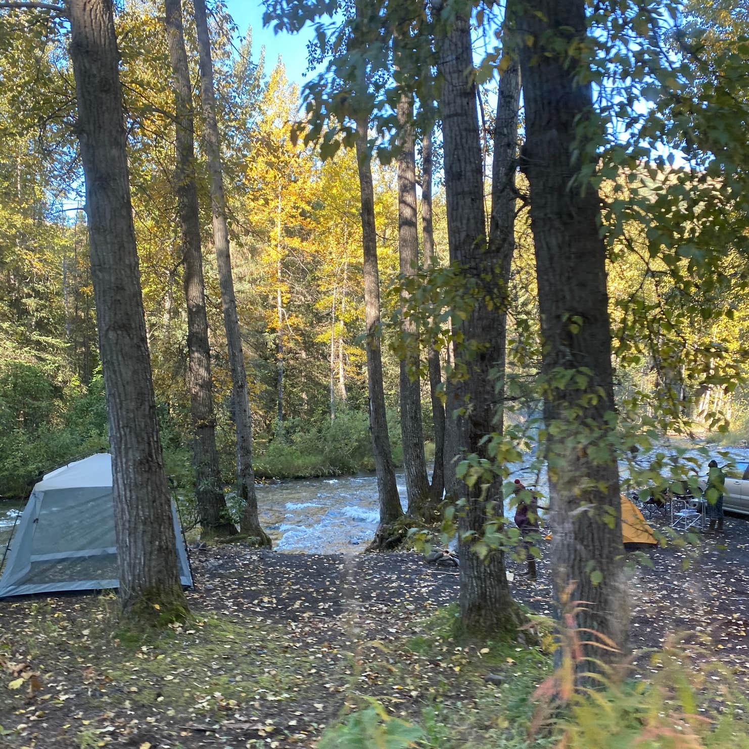 Resurrection Pass Trail North Camping | Hope, Alaska