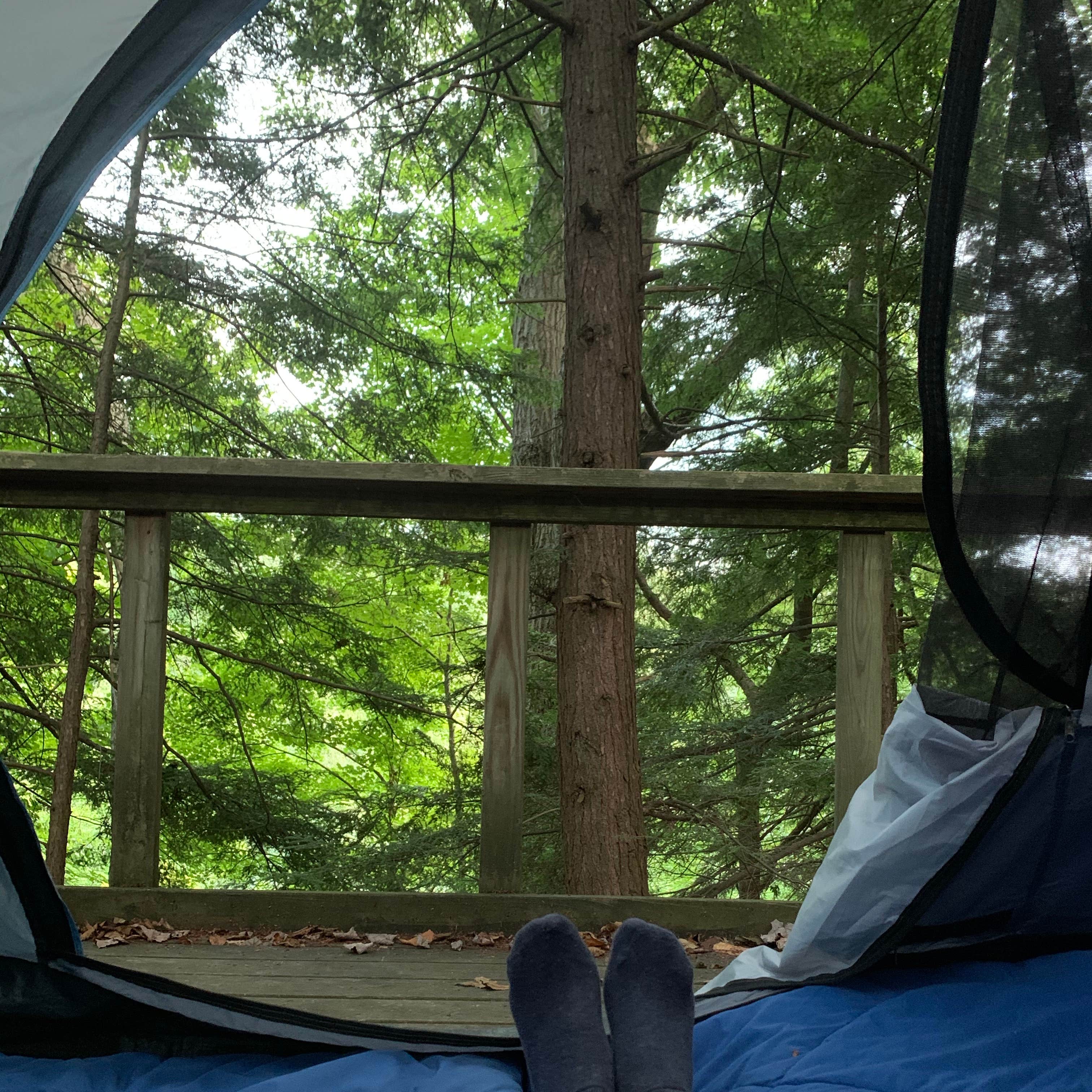 Breakneck Campground Camping | The Dyrt