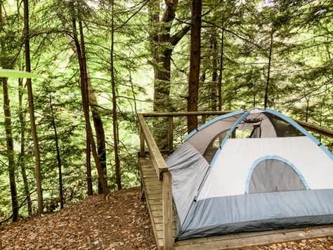 Breakneck Campground Camping | The Dyrt