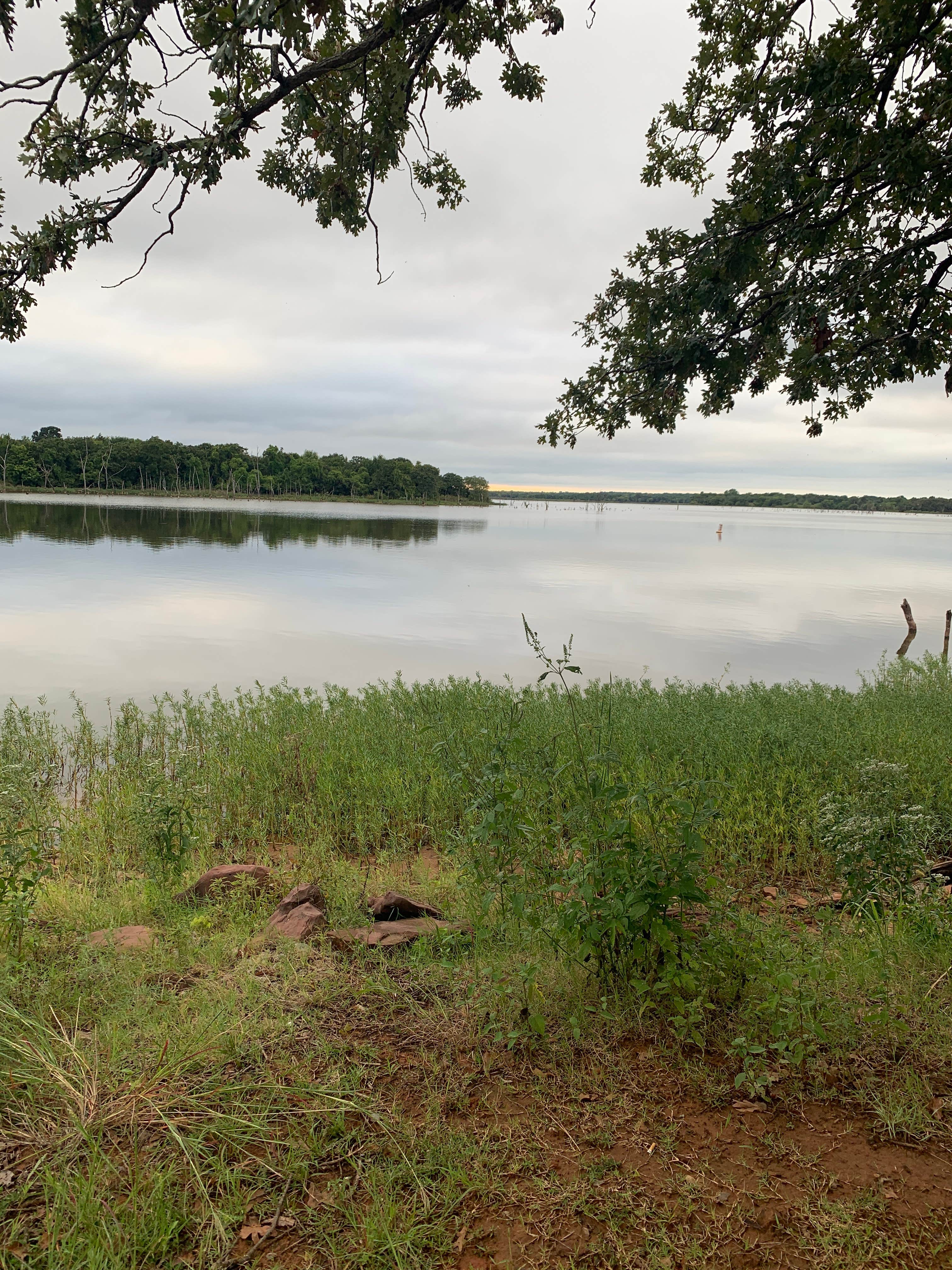 Bell Cow Lake Campground C | The Dyrt