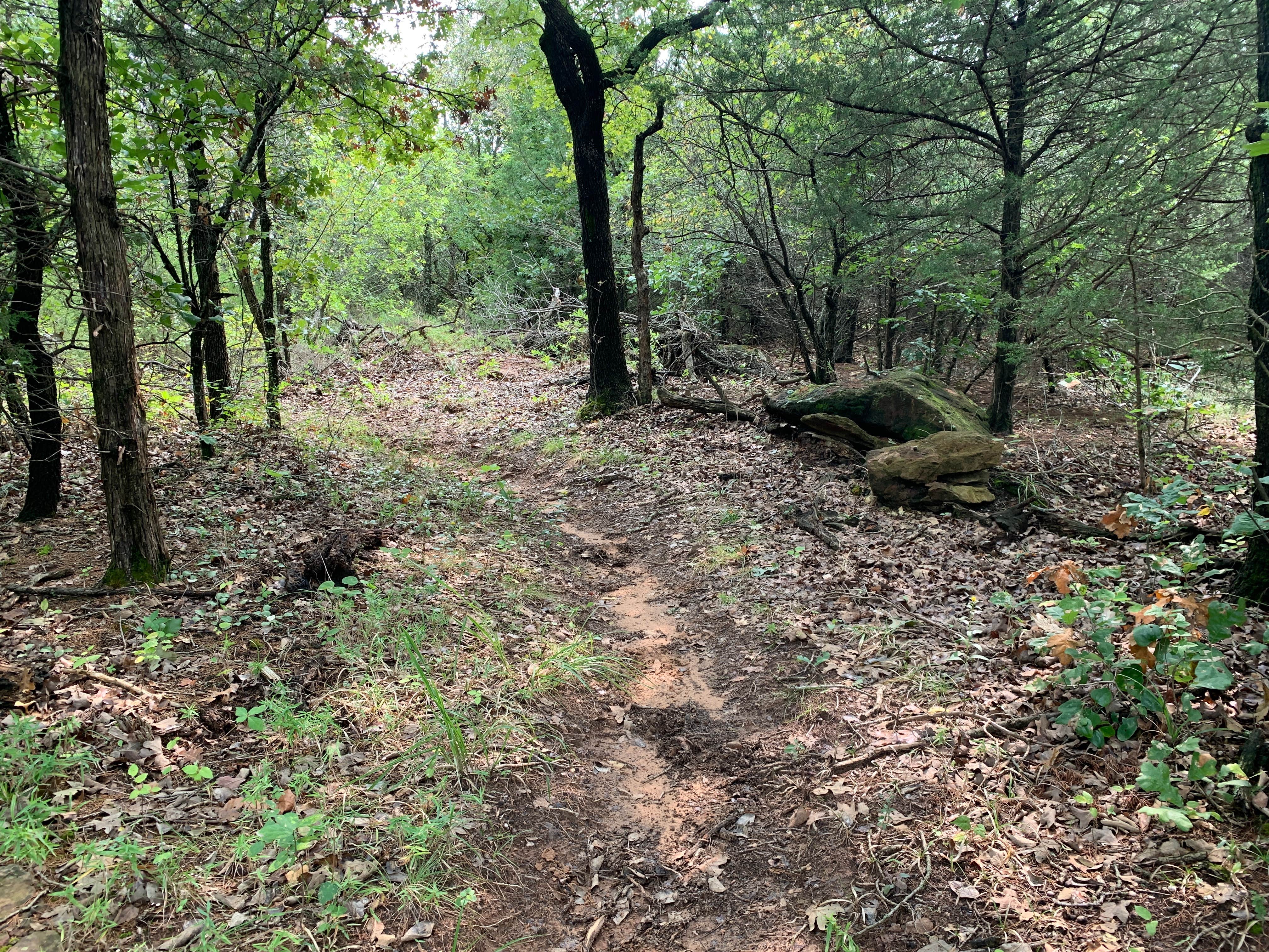 Bell Cow Lake Campground C | The Dyrt