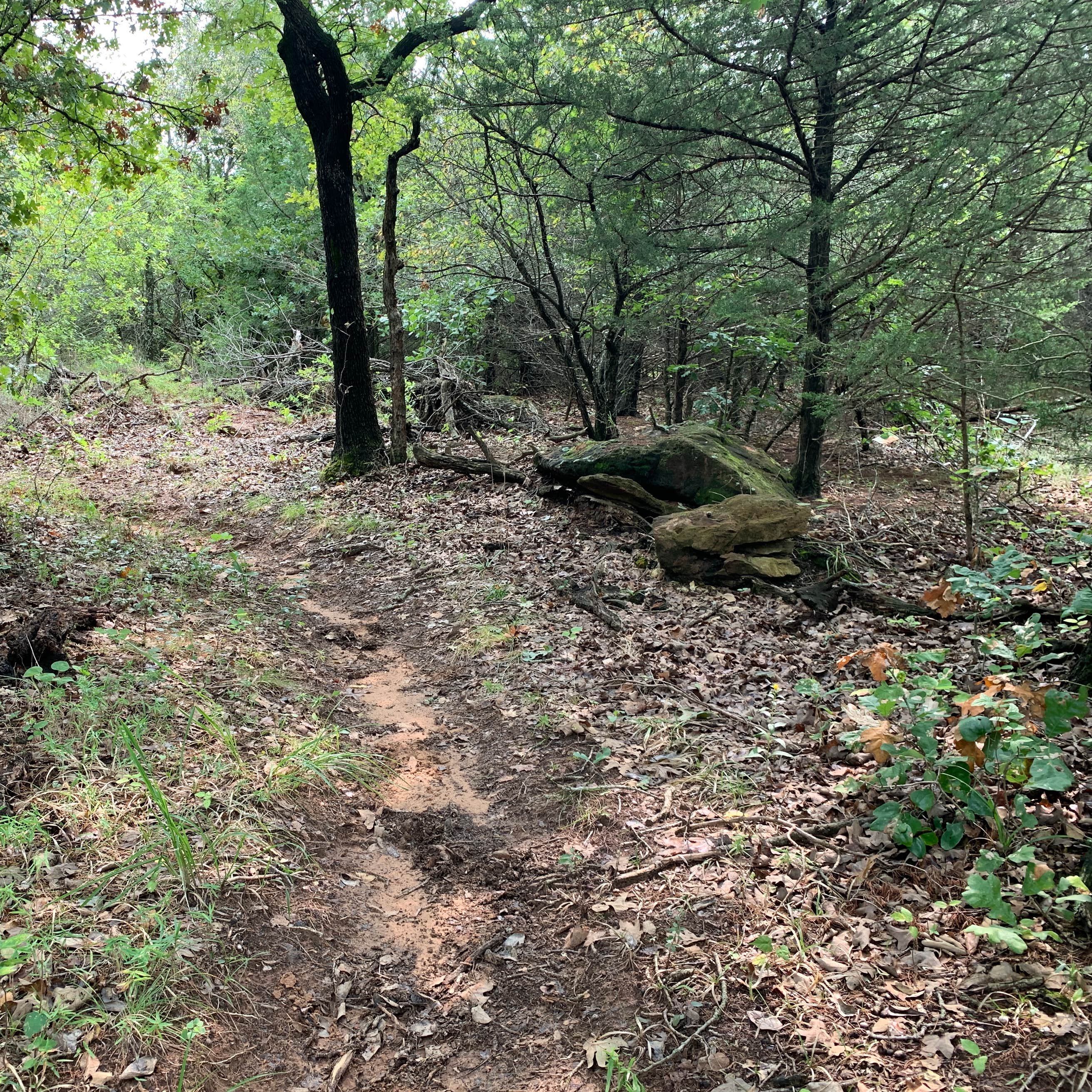 Bell Cow Lake Campground C | Chandler, Oklahoma