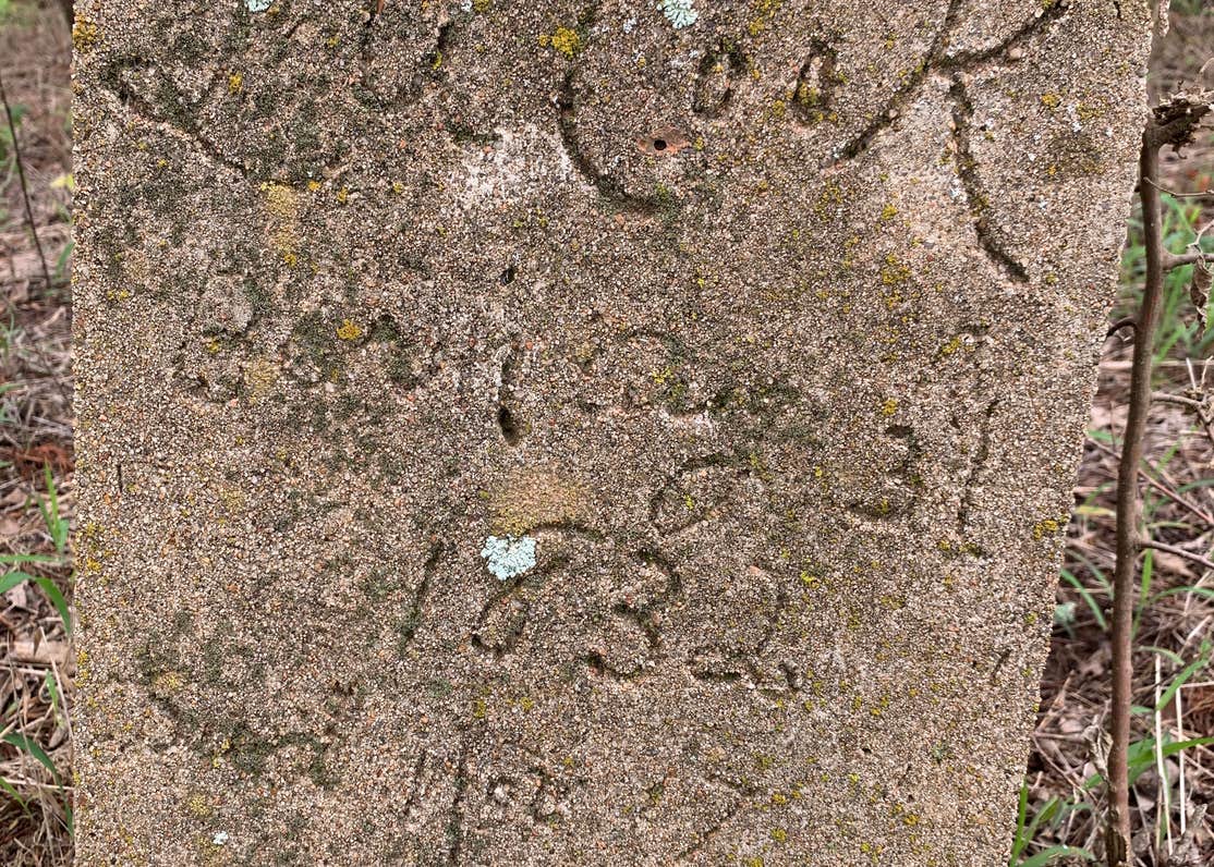 Bell Cow Lake Campground C Camping | The Dyrt