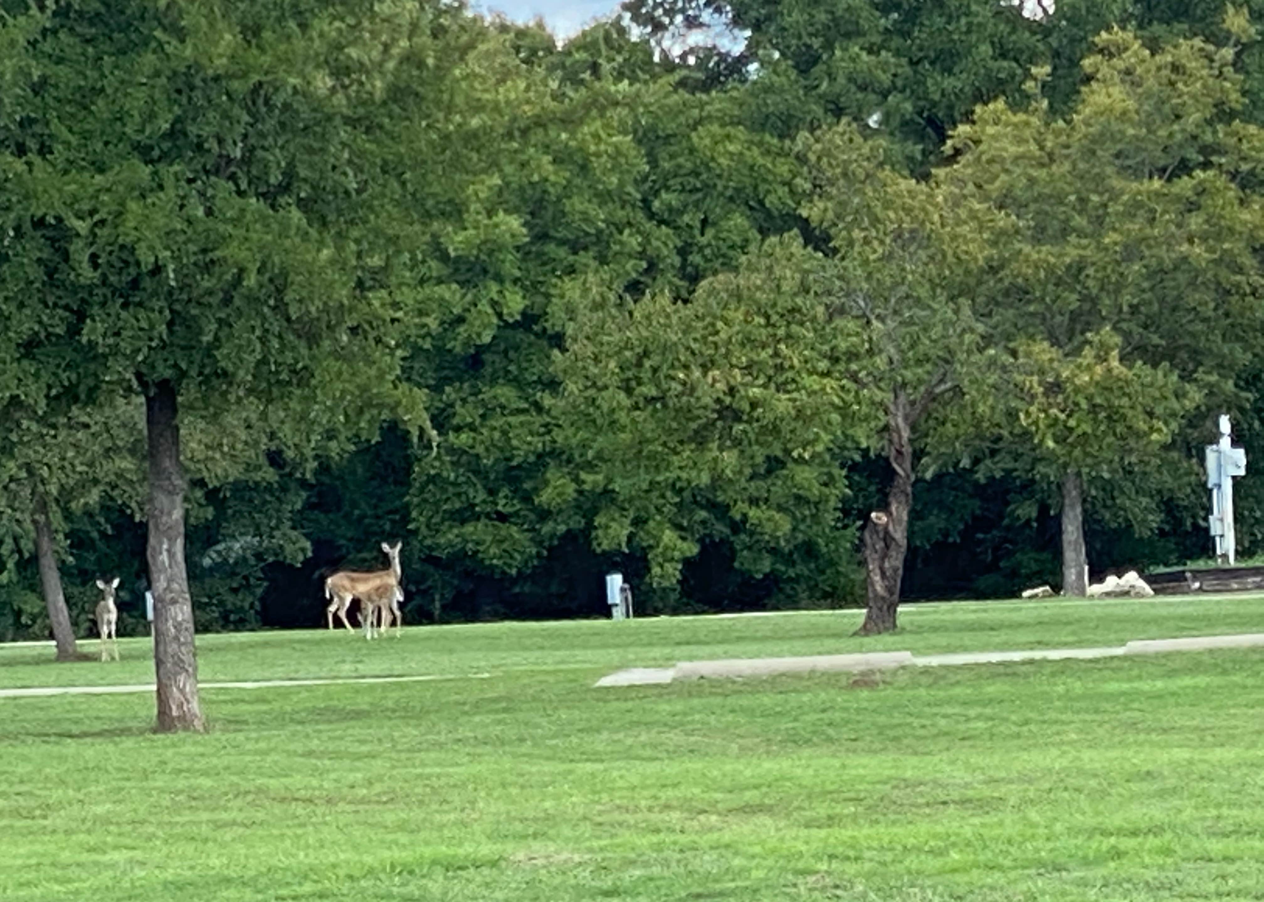 Ham Creek Park Camping | The Dyrt