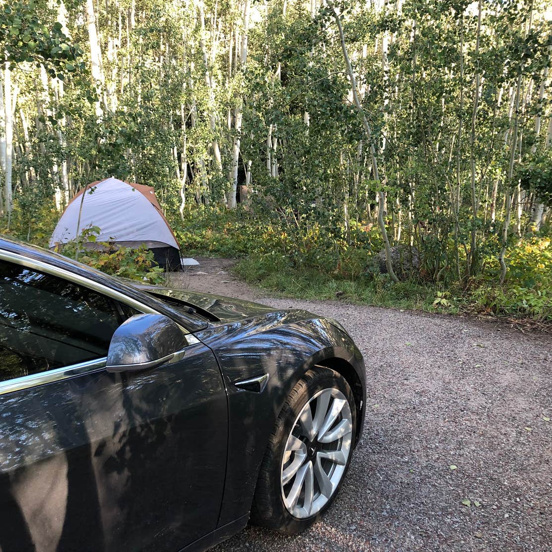 Weller Campground | Aspen, Colorado