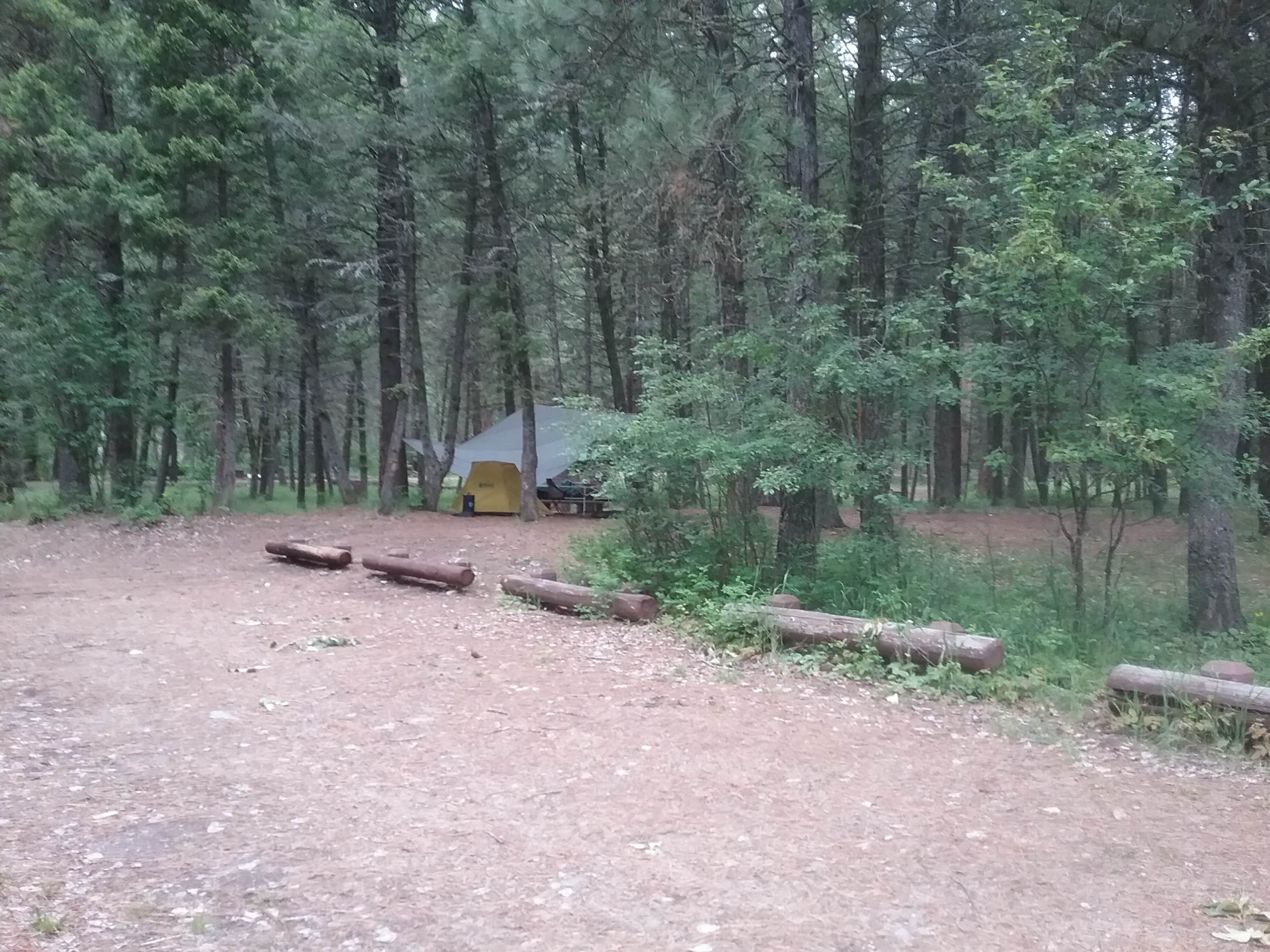 Norton Camping | Clinton, MT