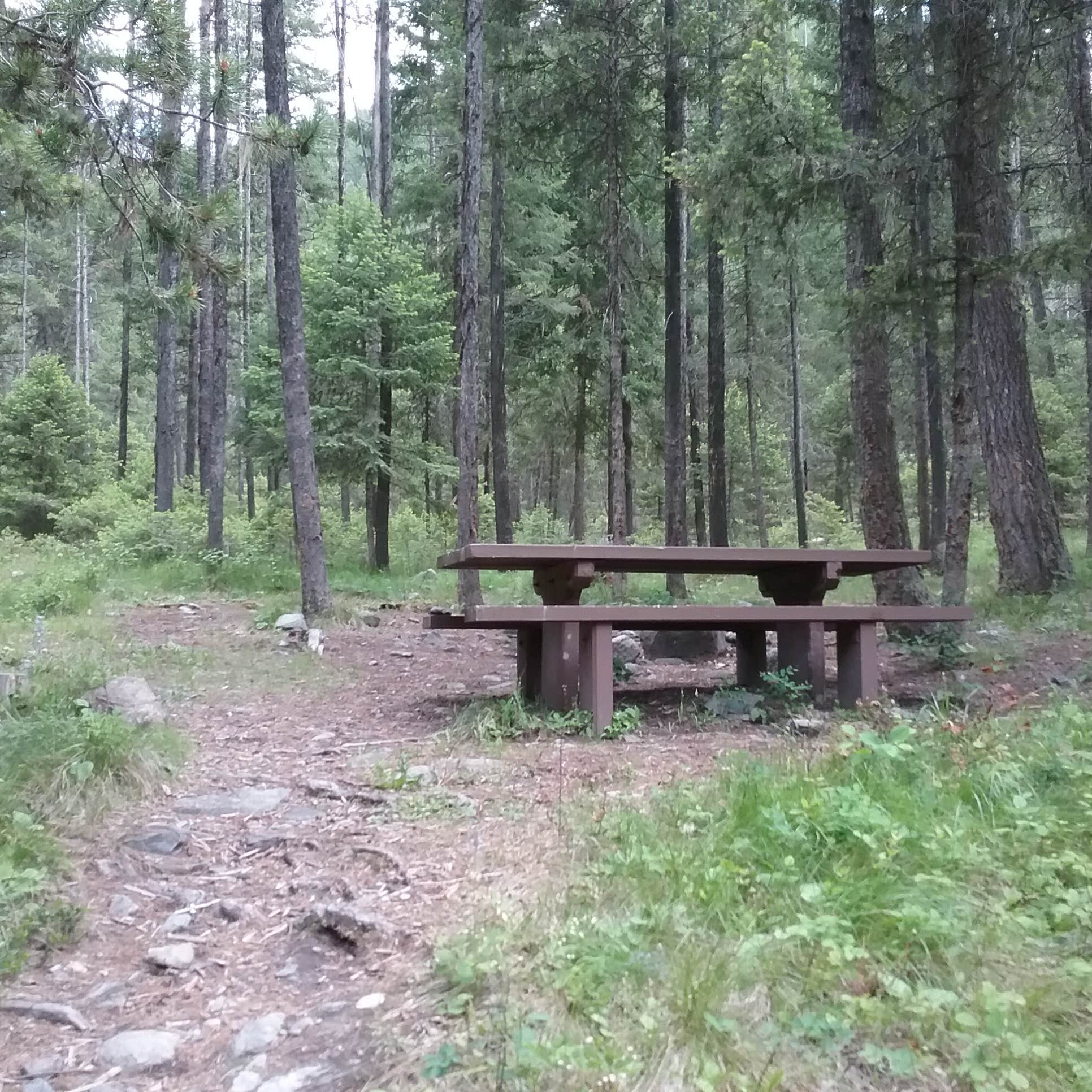 Dalles Camping | The Dyrt