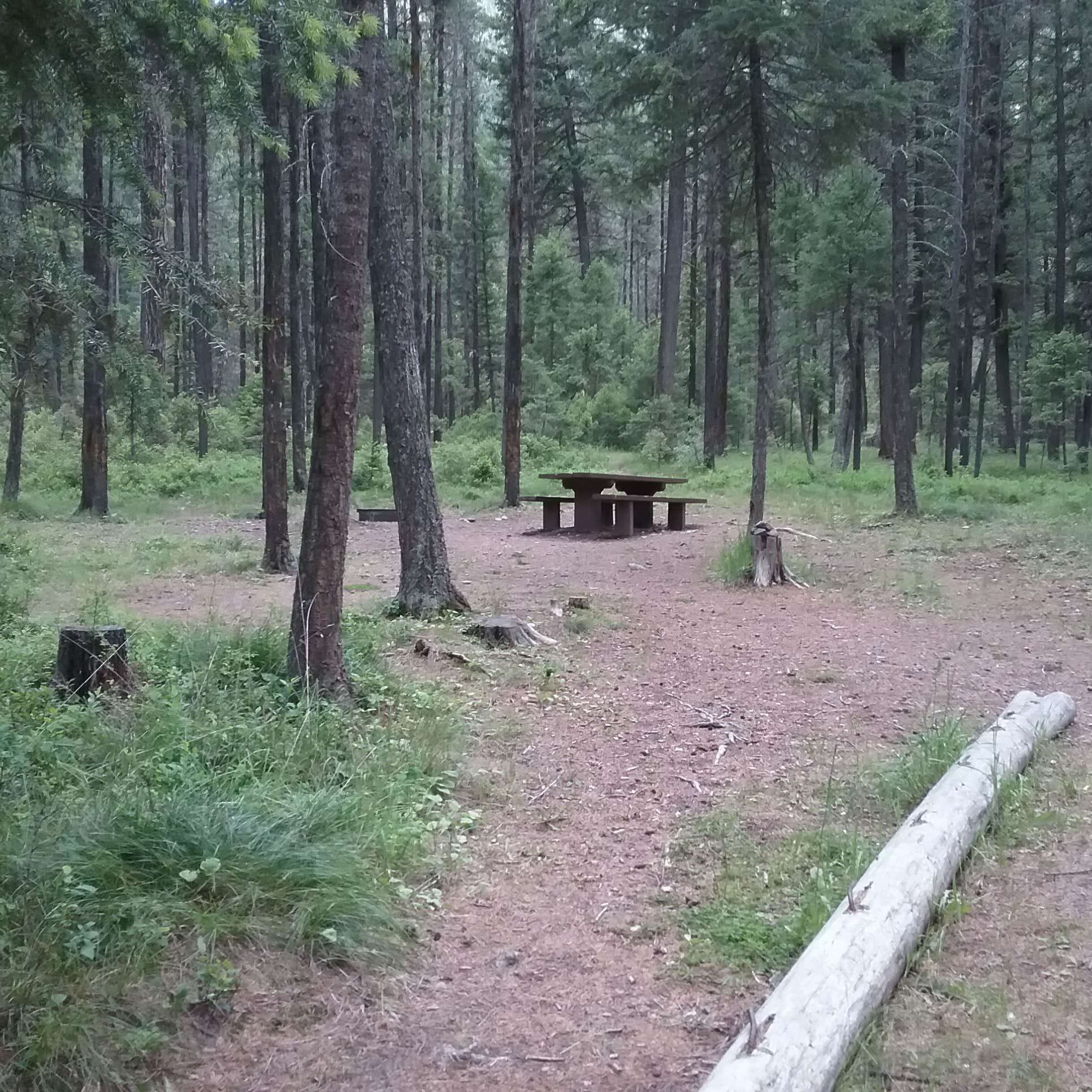 Dalles Camping | The Dyrt