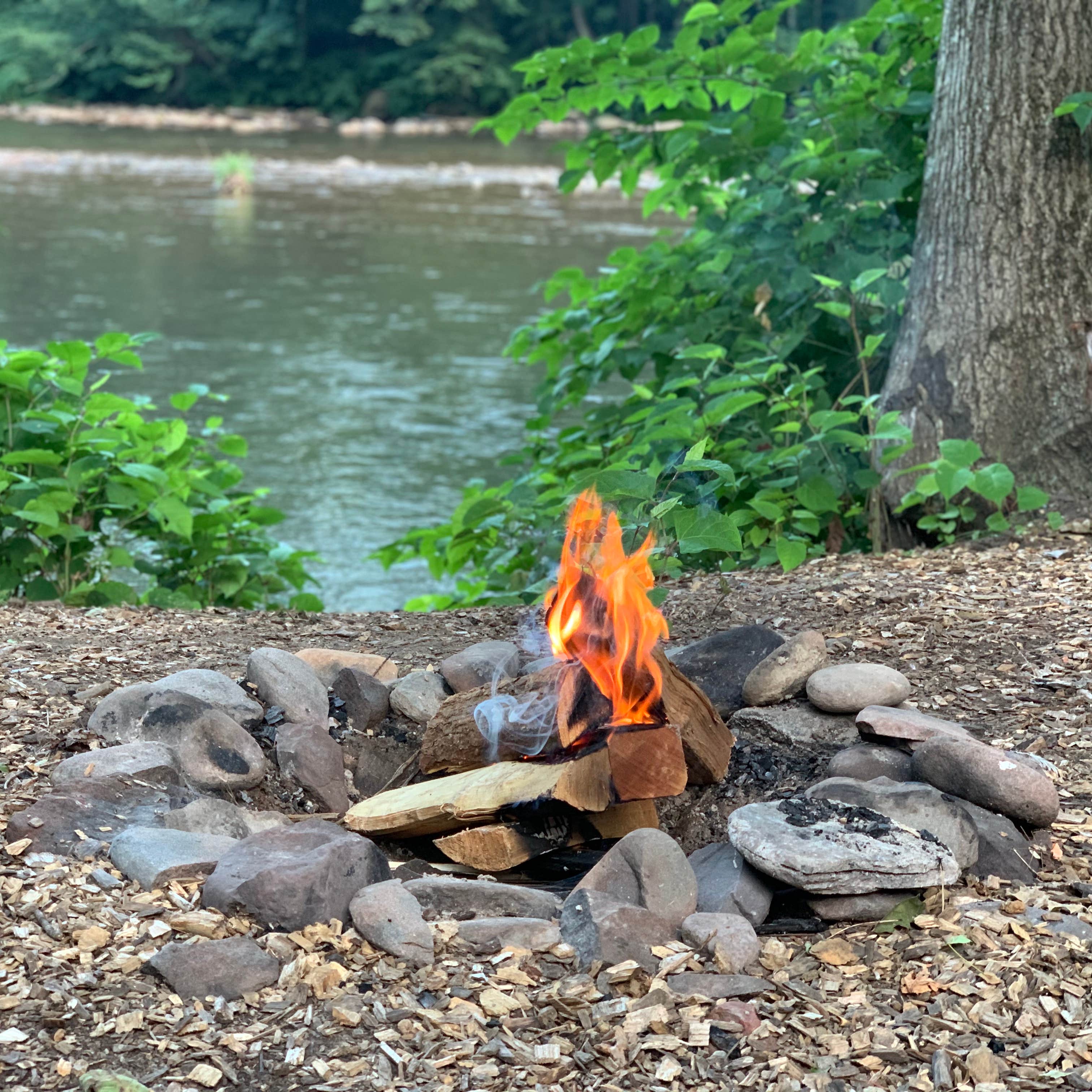 Black Bear Campground Camping | The Dyrt