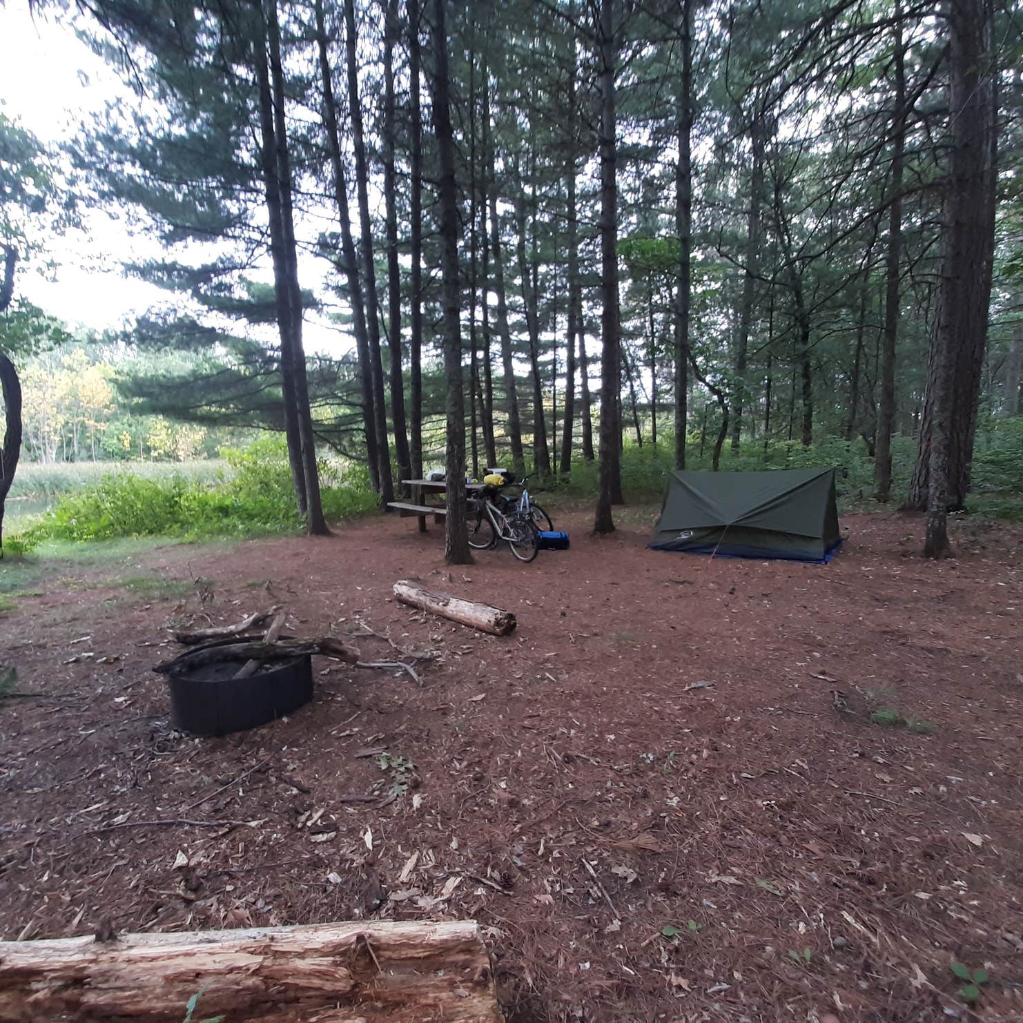 Paul Bunyan Trail Canoe Campsite | Pequot Lakes, Minnesota
