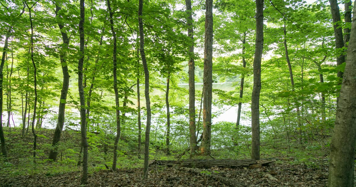 Hidden Ridge Camping | Carlinville, Illinois