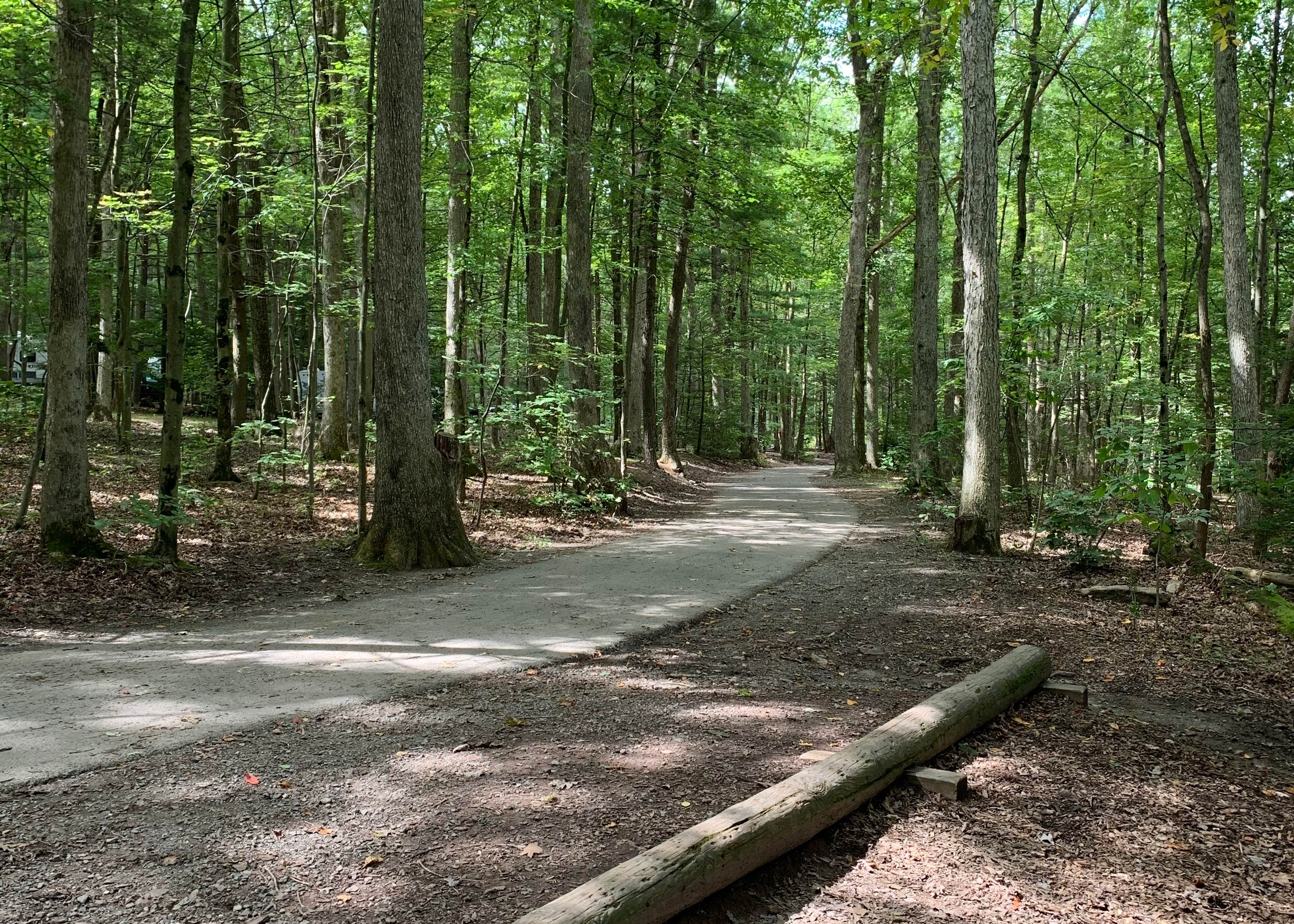 Locust Lake State Park Camping | The Dyrt