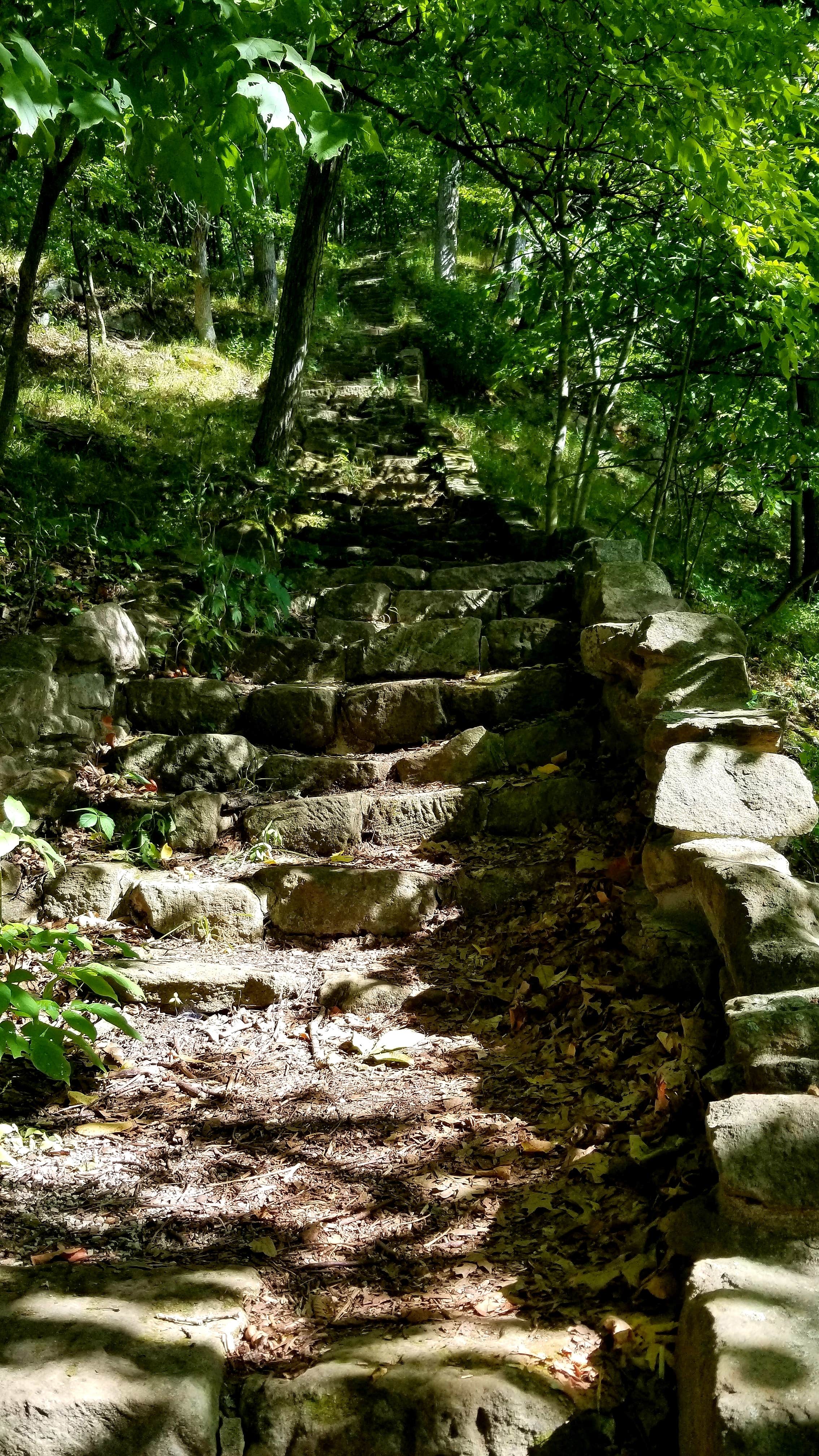 Dolliver Memorial State Park Campground | Otho, IA