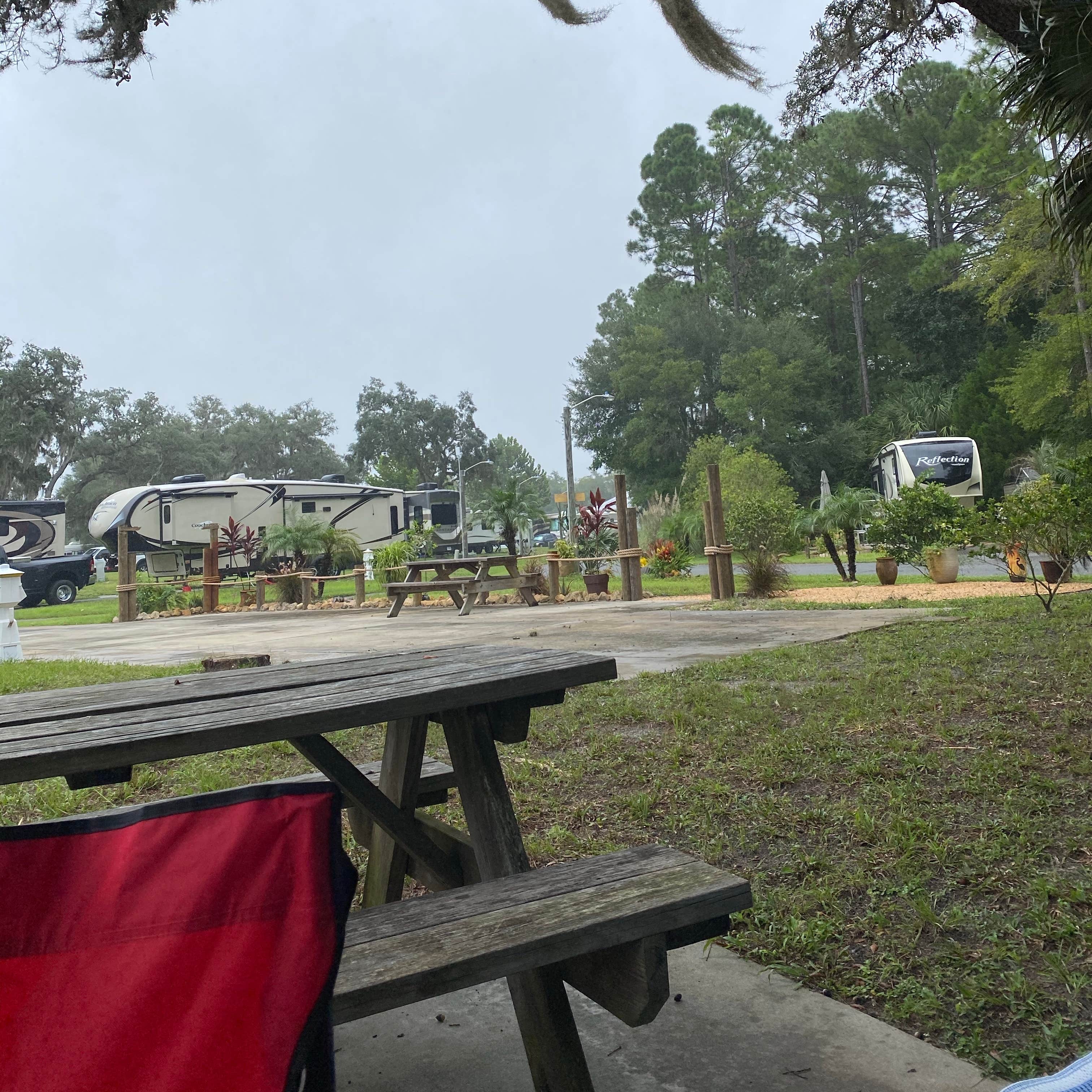 Cedar Key RV Resort Camping | The Dyrt