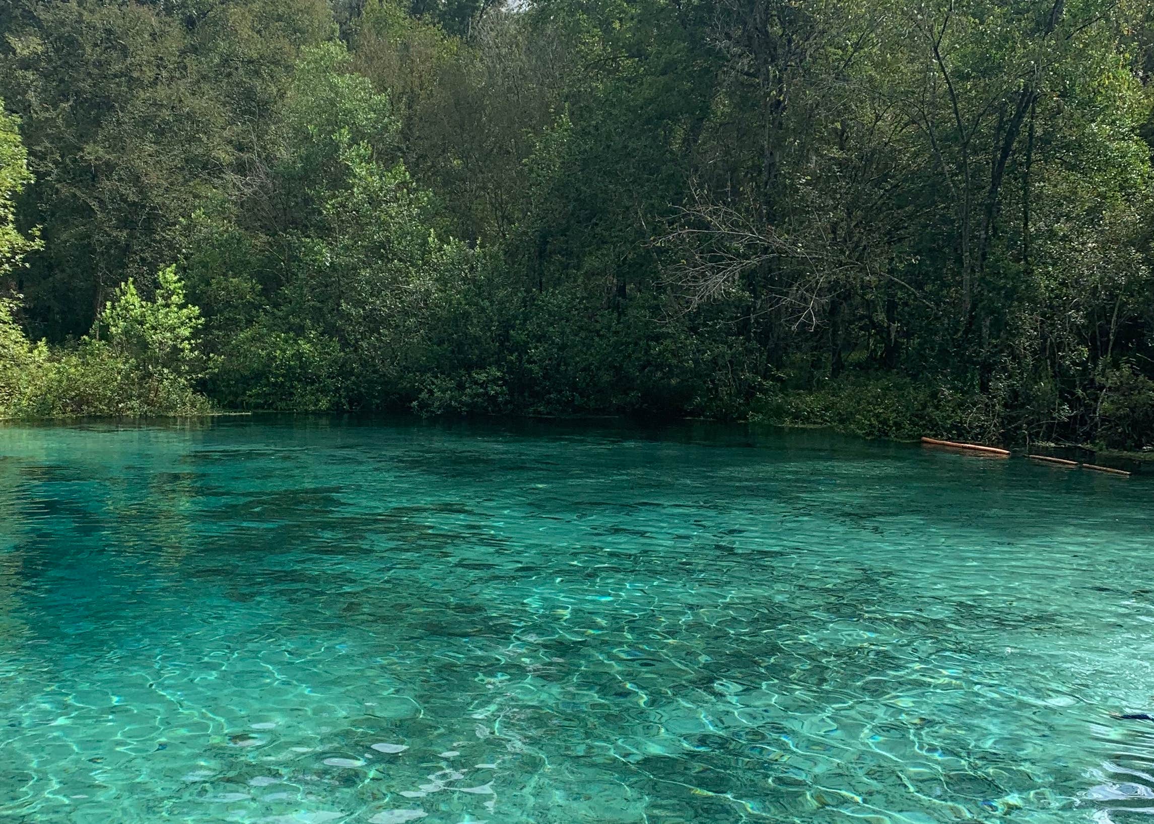 Ichetucknee Family Canoe and Cabins Camping | The Dyrt