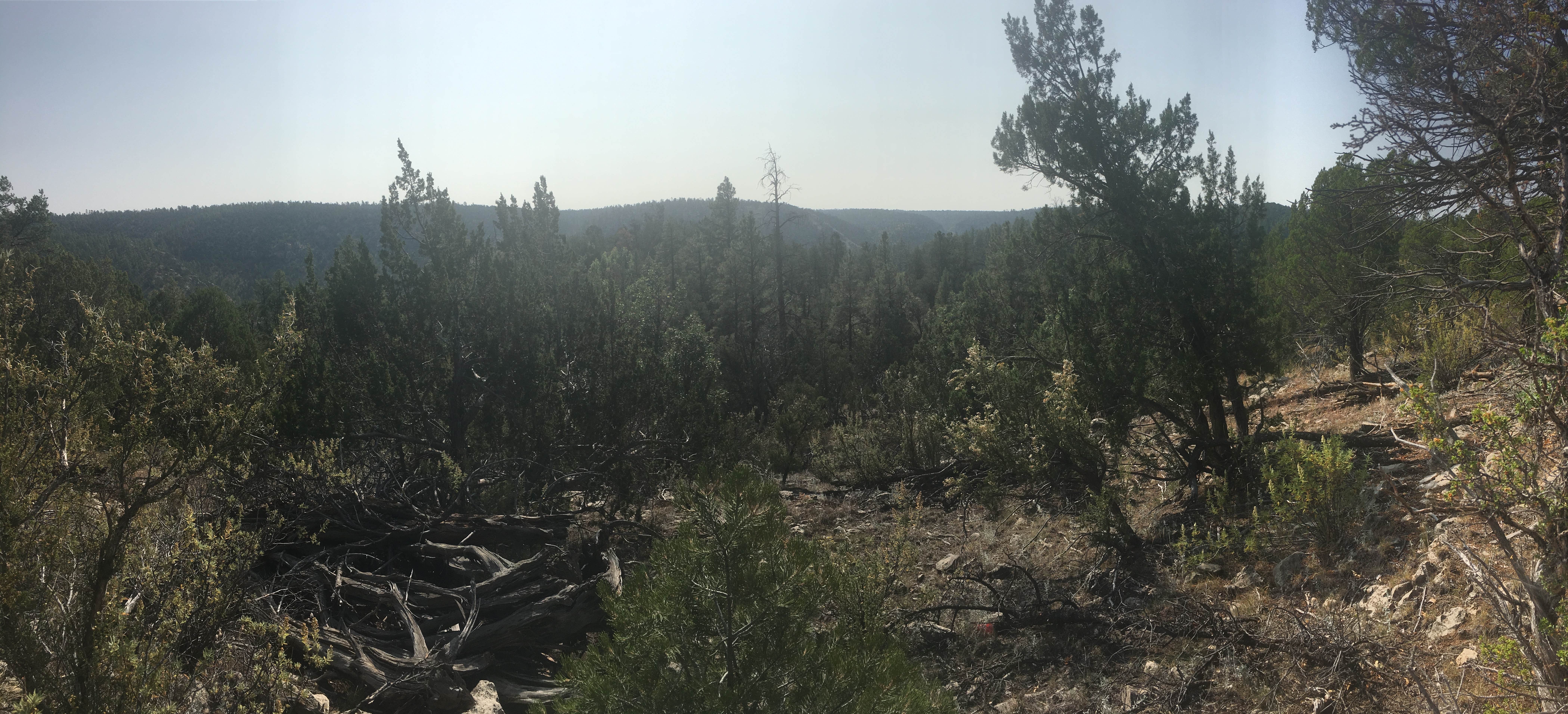 Chevelon Canyon Lake Campground | The Dyrt