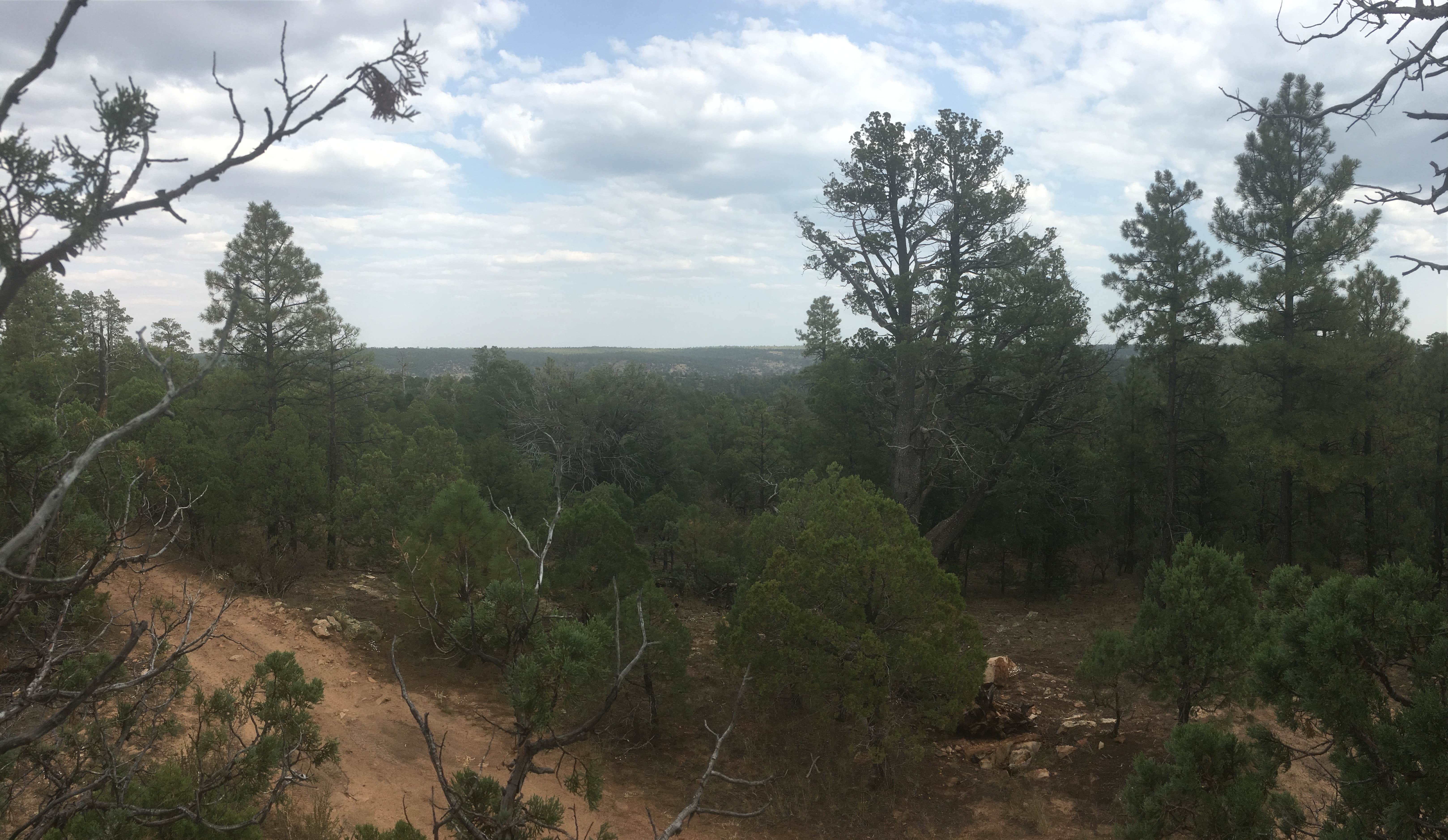 Chevelon Crossing Campground | The Dyrt