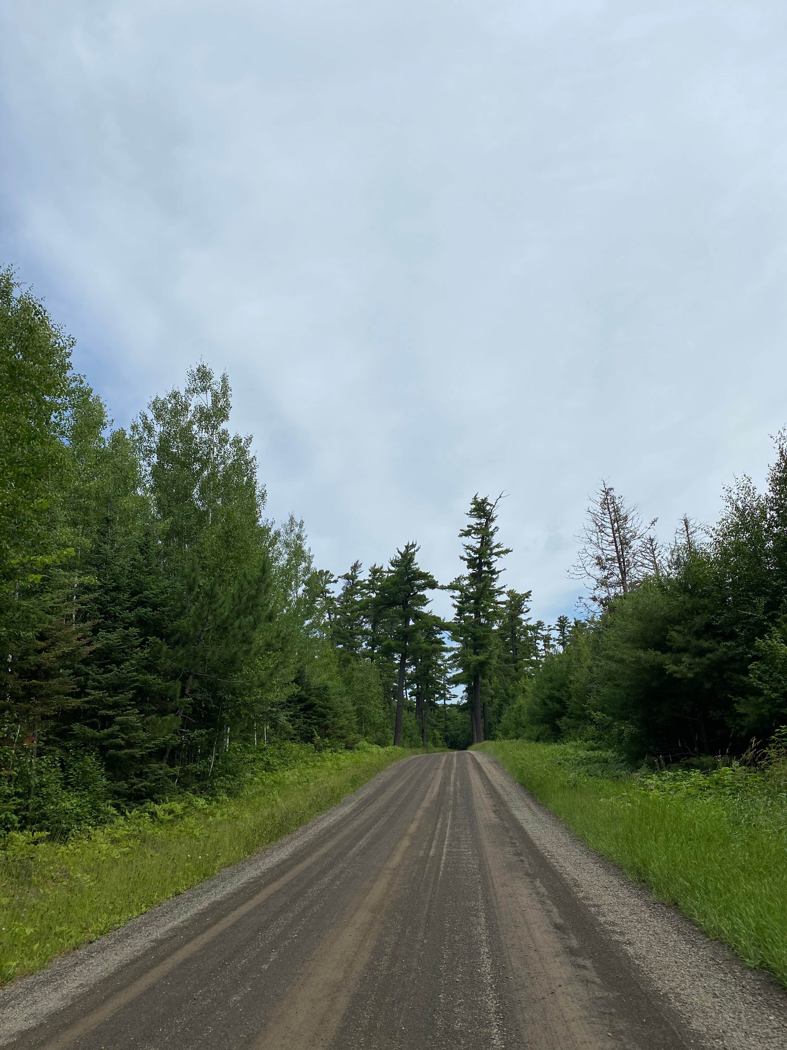 Esther Lake Campground | Grand Marais, MN