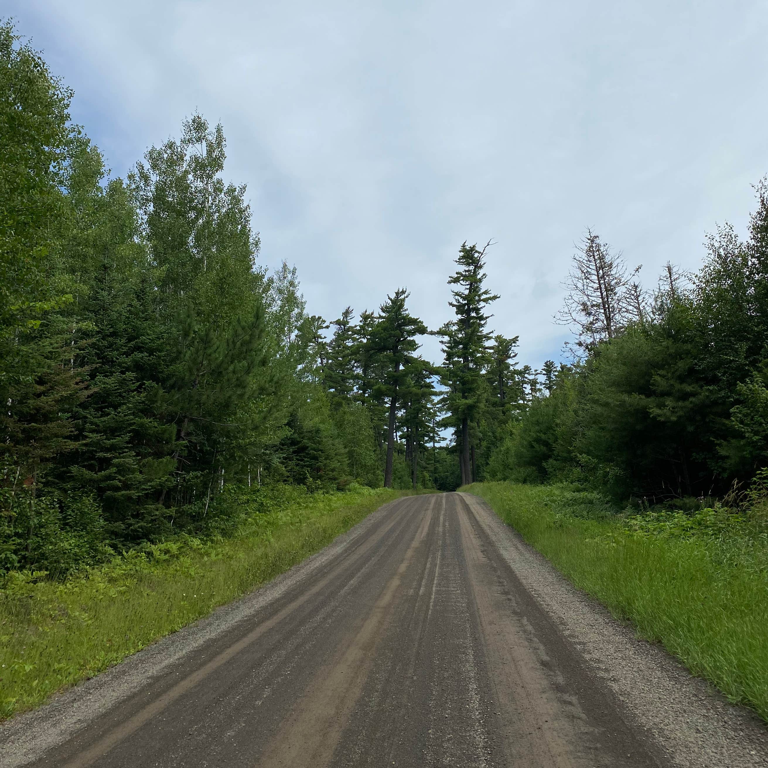 Esther Lake Campground | Grand Marais, Minnesota